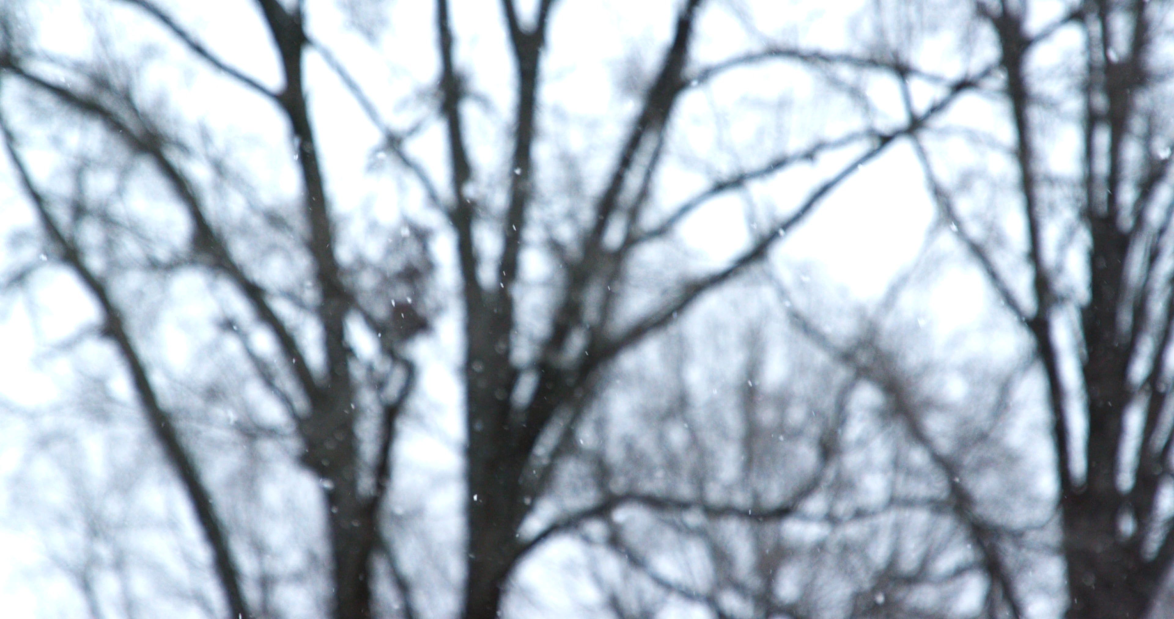 A Video of Snow Fall Free Stock Video Footage, Royalty-Free 4K & HD ...