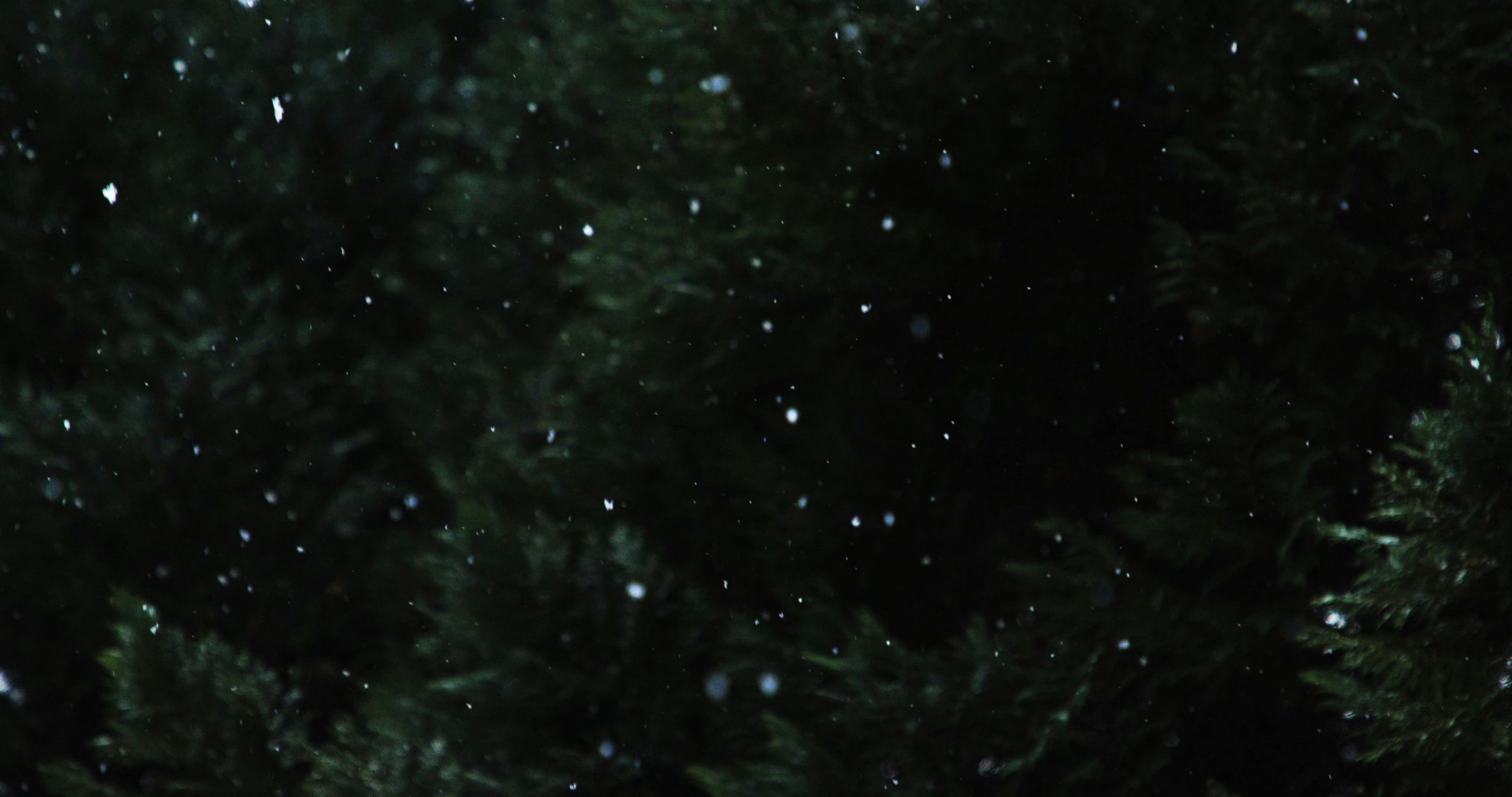 Close Up Shot of Snow Falling · Free Stock Video