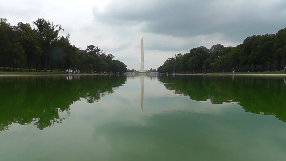 Washington Dc Videos, Download The BEST Free 4k Stock Video Footage ...