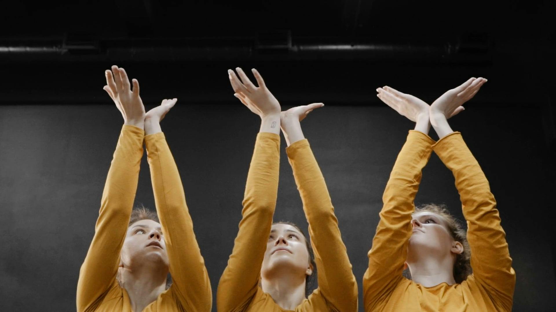 Stages Formation Videos, Download The BEST Free 4k Stock Video Footage ...