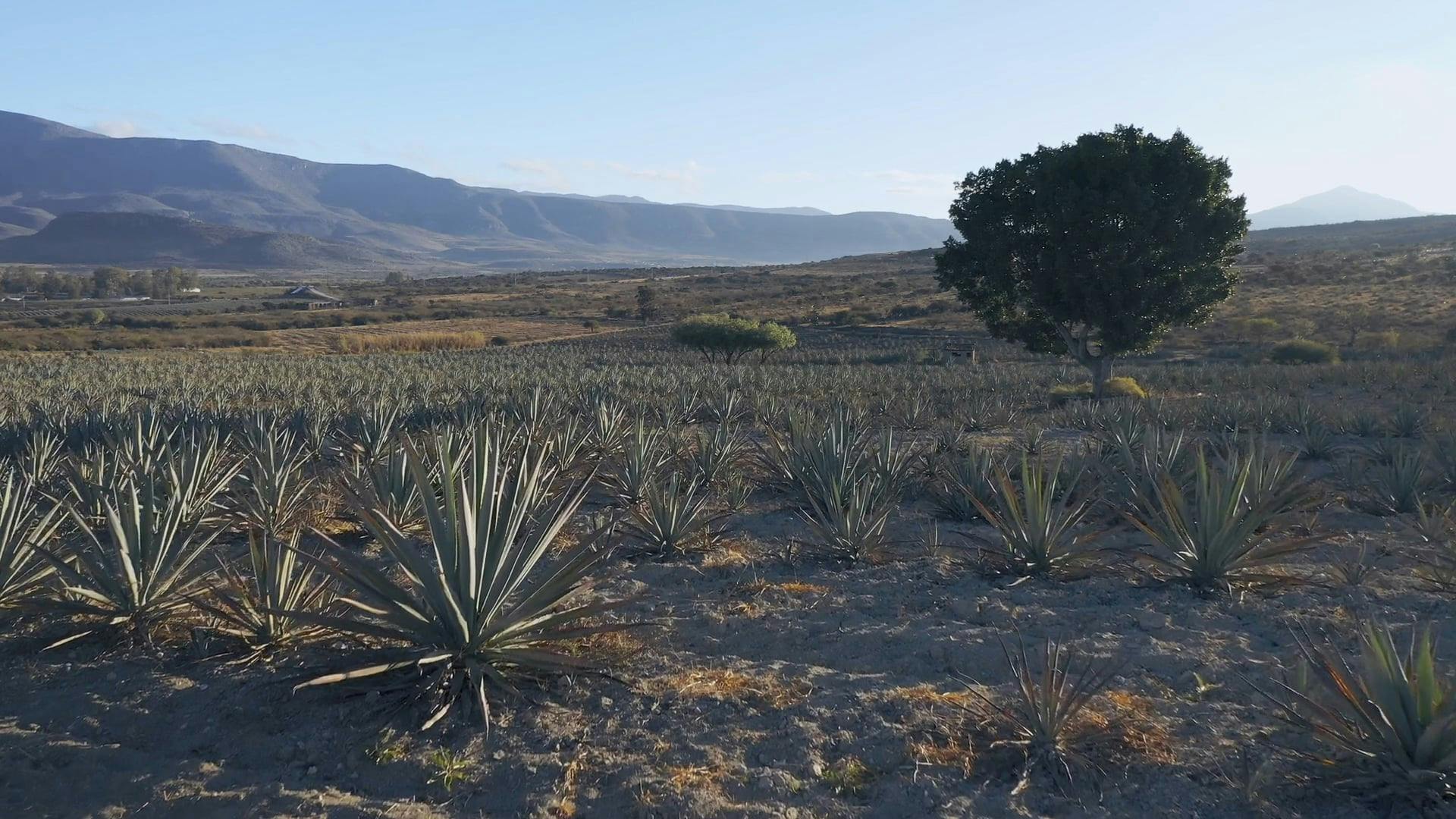 Southwest Landscape Videos, Download The BEST Free 4k Stock Video ...