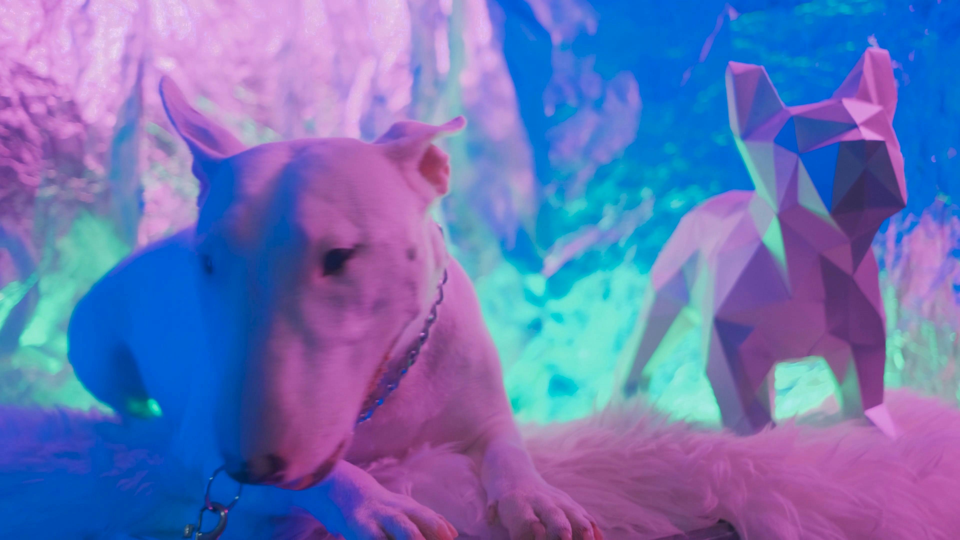 Best Stable Diffusion Model For Nsfw Videos, Download The BEST Free 4k ...