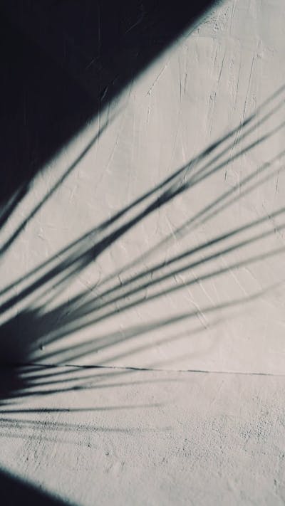 Aesthetic Videos, Download The BEST Free 4k Stock Video Footage ...