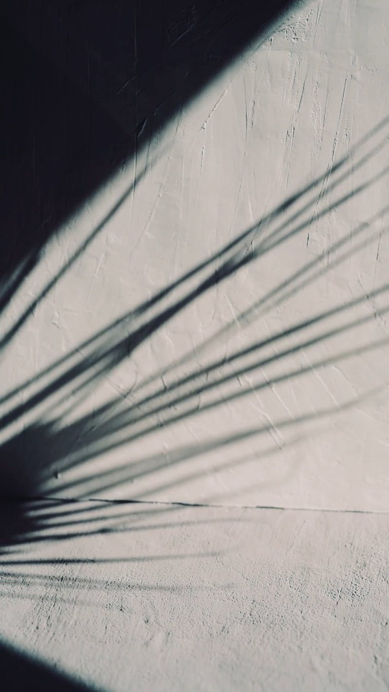 Aesthetic Videos, Download The BEST Free 4k Stock Video Footage ...