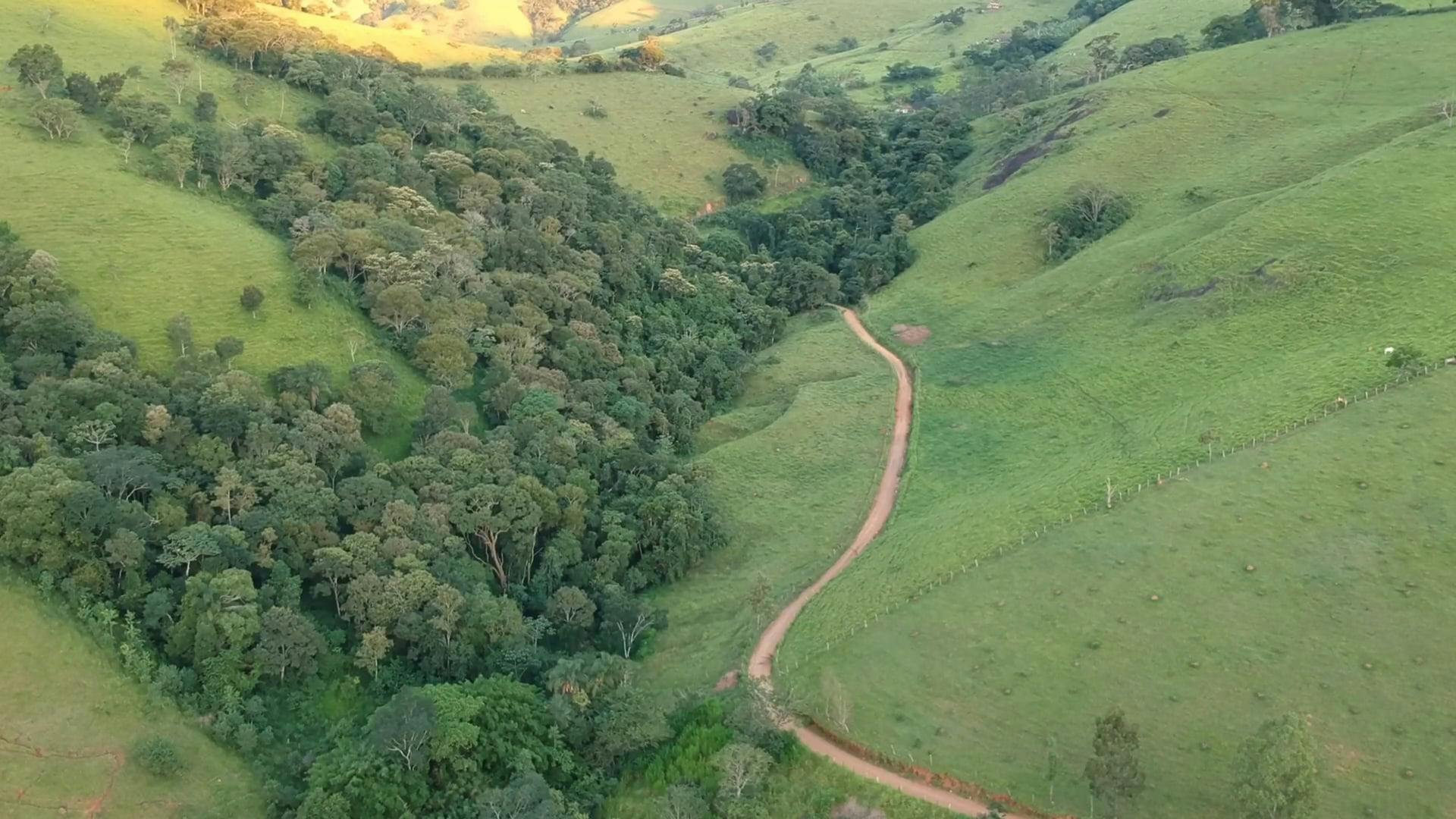 Beautiful View OF Rocky Mountains With Grassland · Free Stock Video