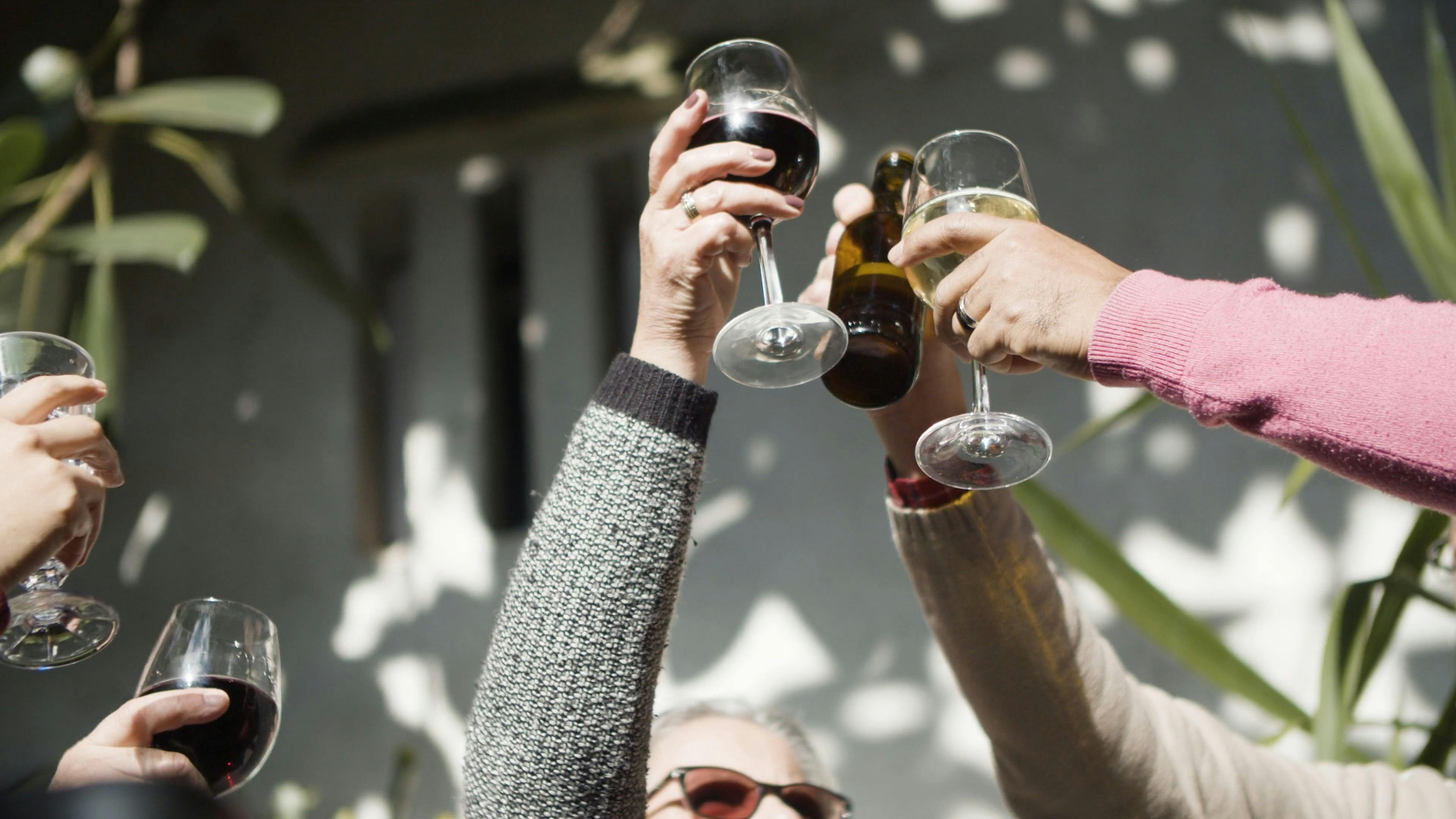 People Raising Their Glasses for a Toast · Free Stock Video