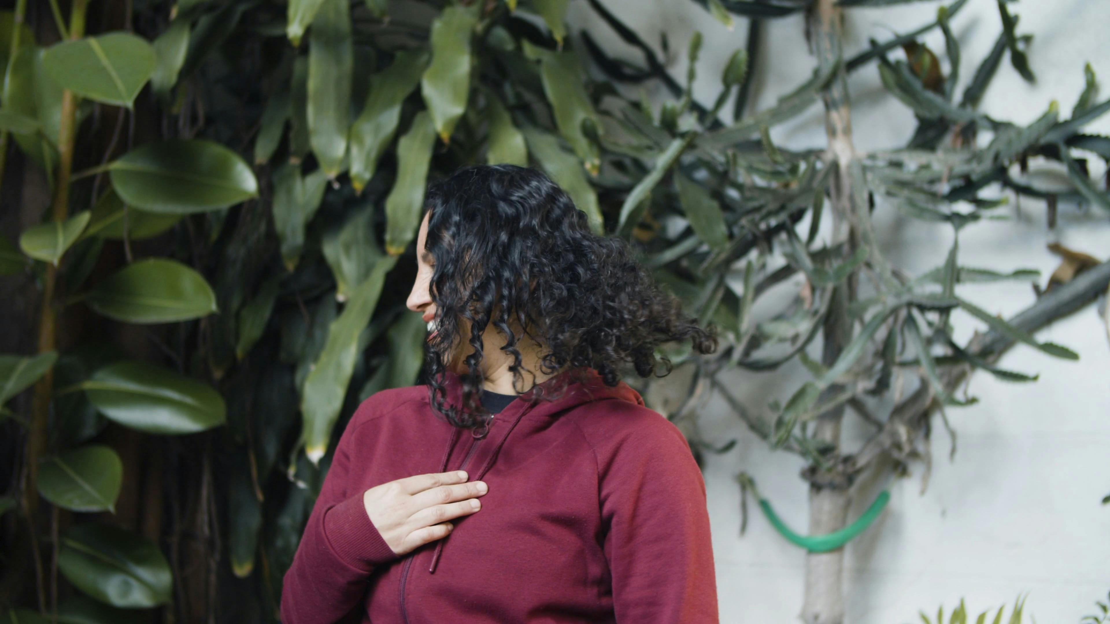 Vibrant And Shady Background Videos, Download The BEST Free 4k Stock ...