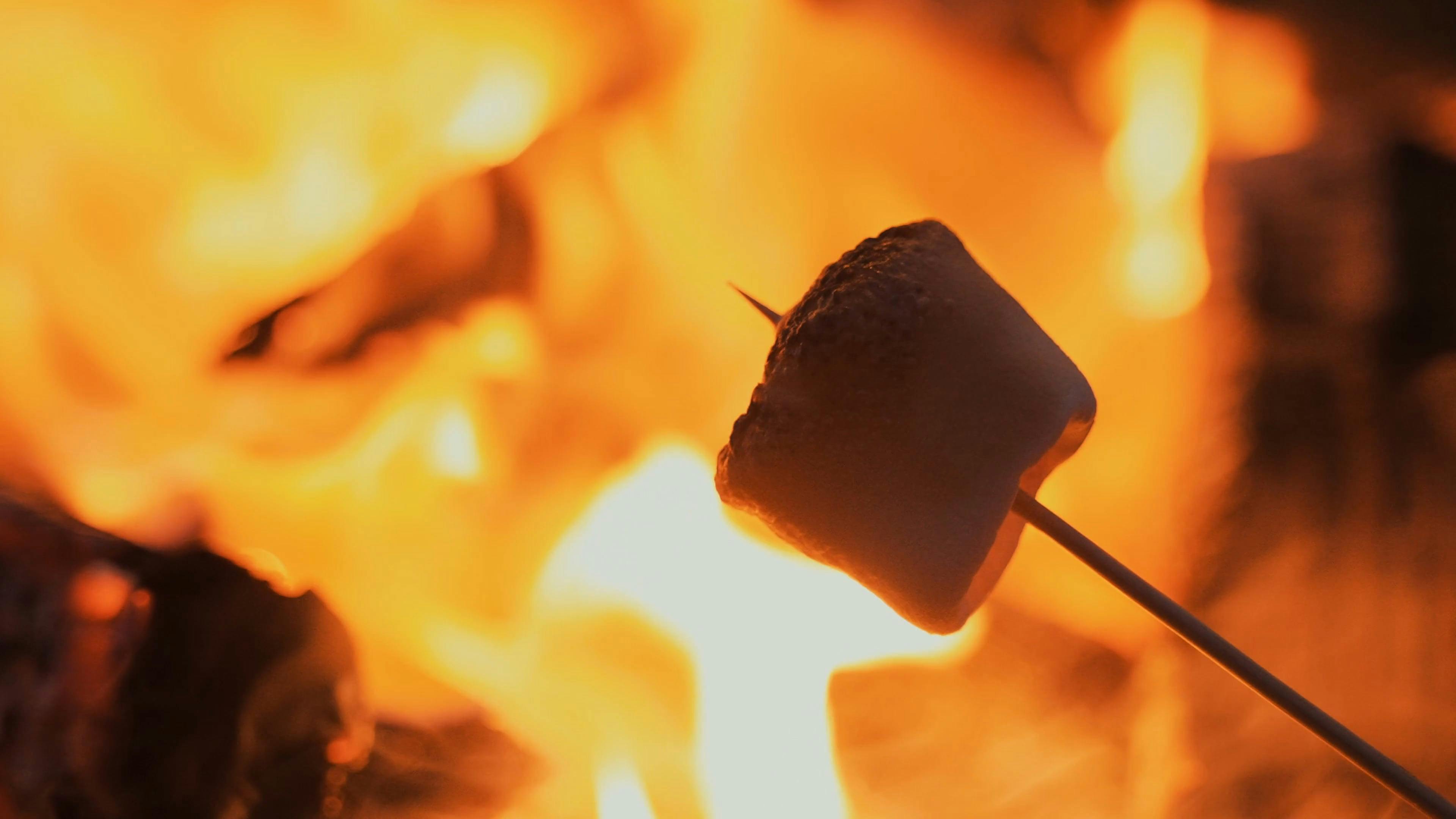 Friends Roasting Marshmallows with a Campfire · Free Stock Video