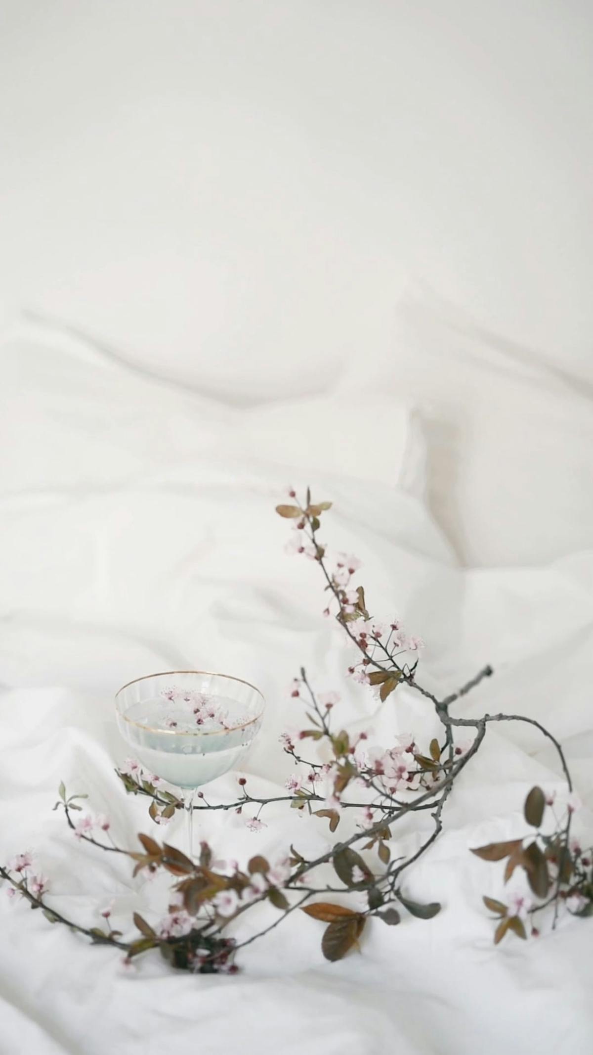 Aesthetic Videos, Download The BEST Free 4k Stock Video Footage ...