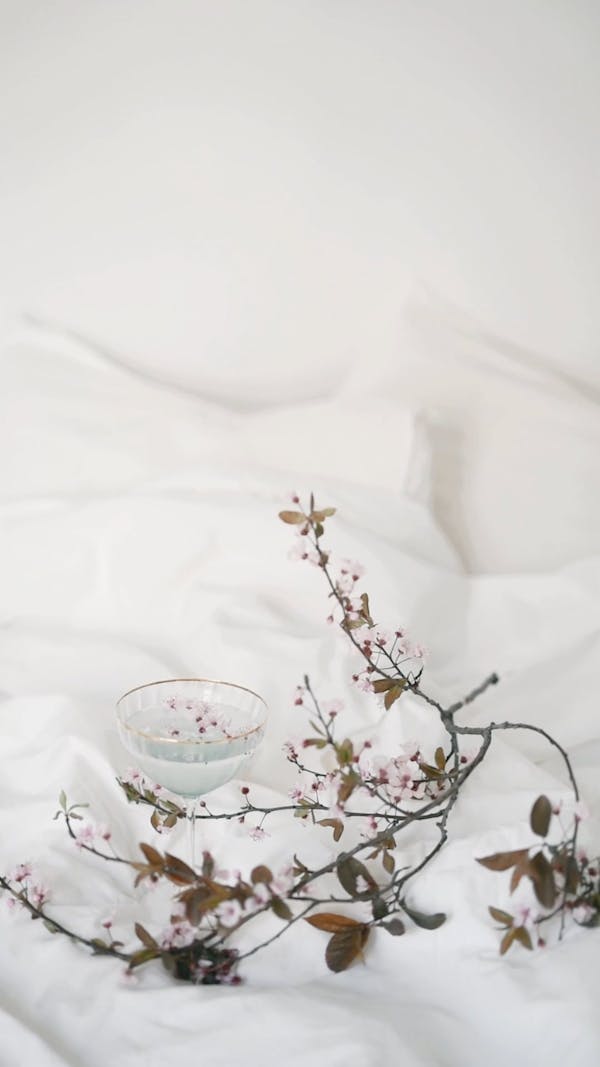 Aesthetic Videos, Download The BEST Free 4k Stock Video Footage ...