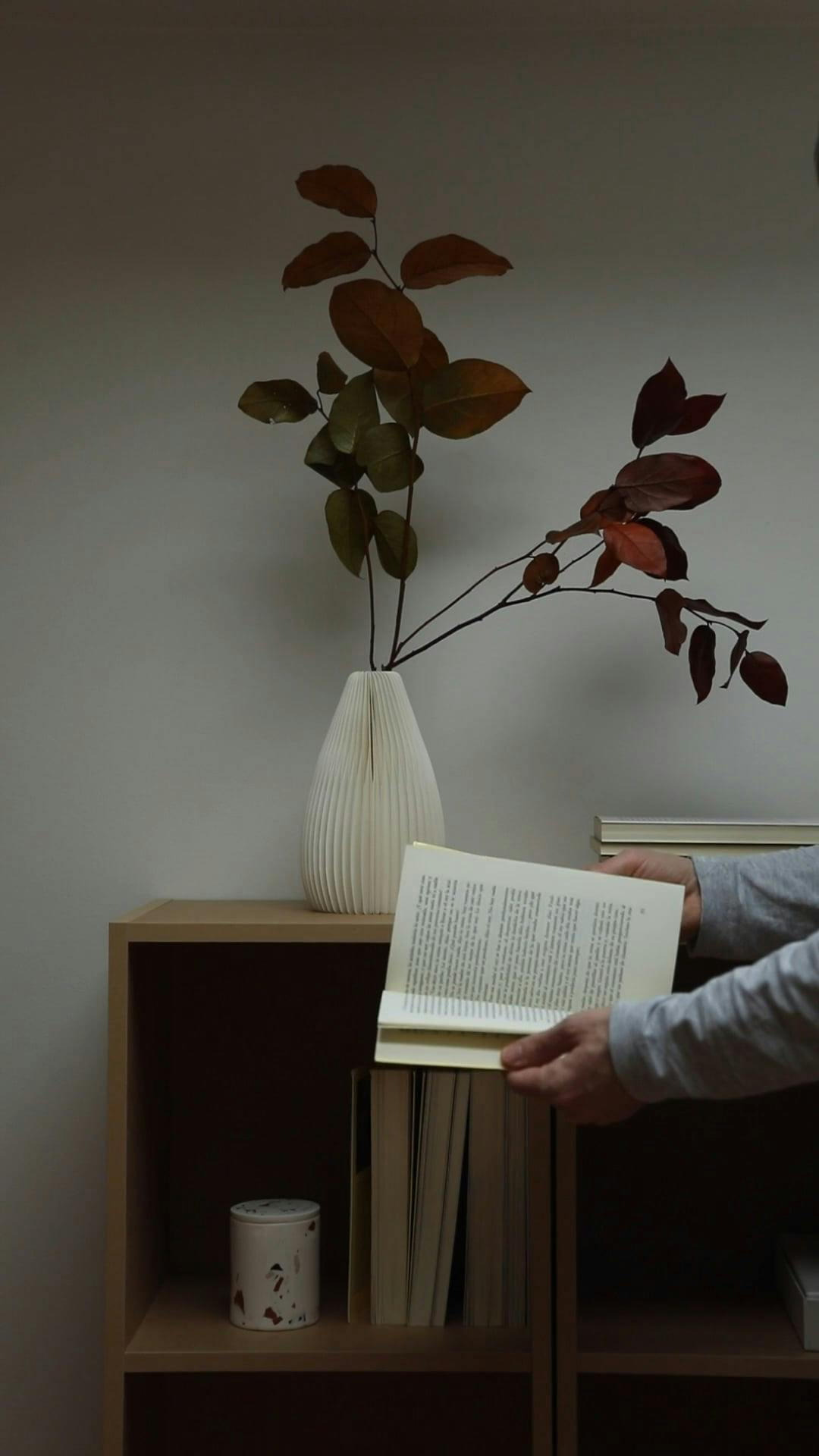 Home Esthetic Videos, Download The BEST Free 4k Stock Video Footage ...