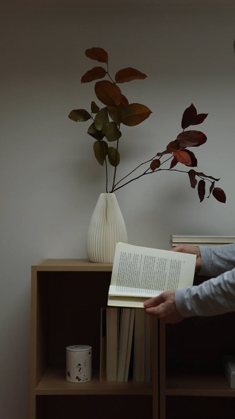 Books Videos, Download Free 4k Stock Video Footage & Books HD Video Clips