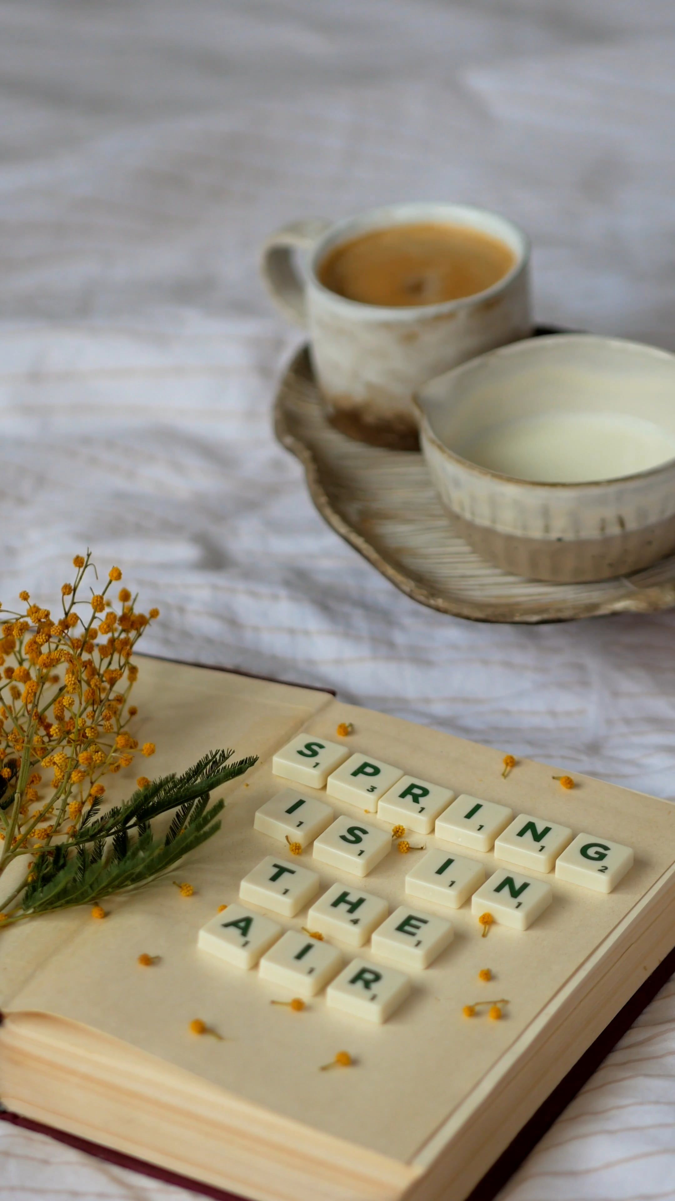 Scrabble Blokken Videos, Download The BEST Free 4k Stock Video Footage ...