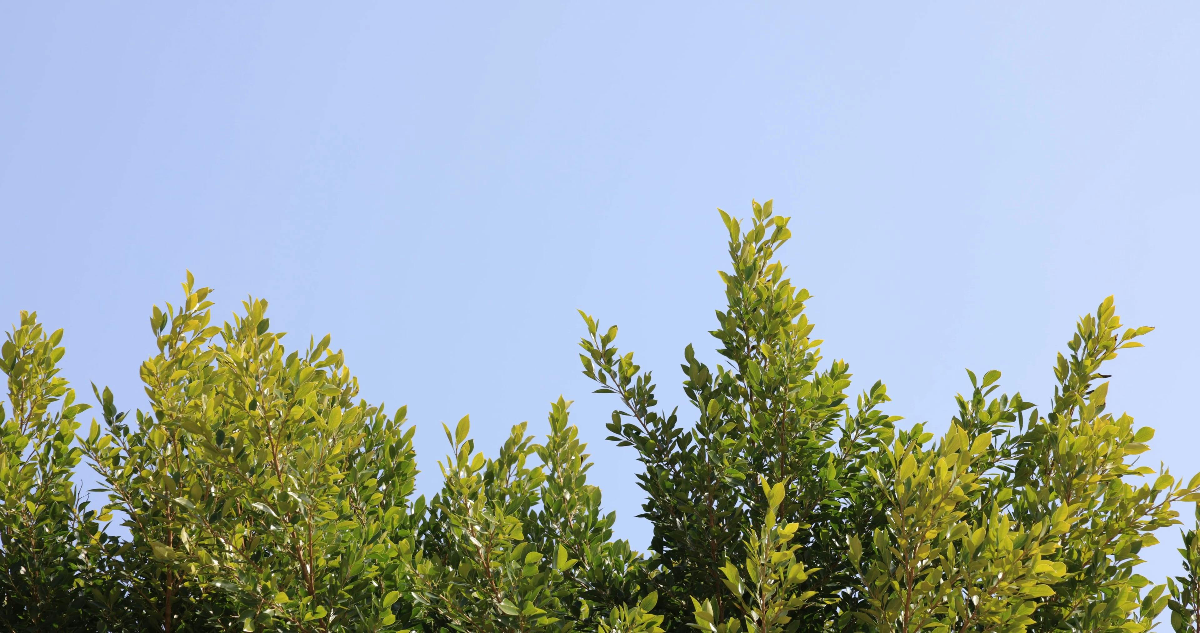 Vídeos de stock gratuitos sobre @al aire libre, aireado, al aire libre ...