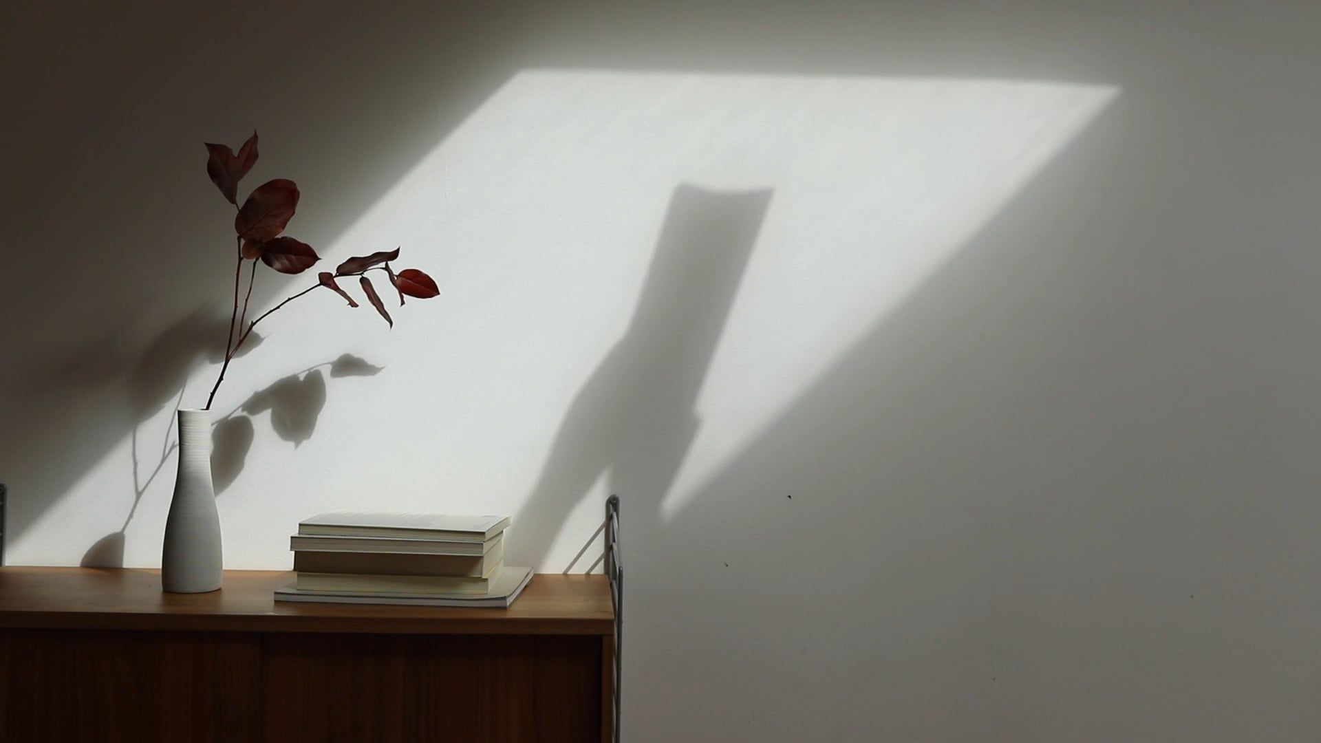 Shadow of a Person's Hands Scanning a Book Free Stock Video Footage ...