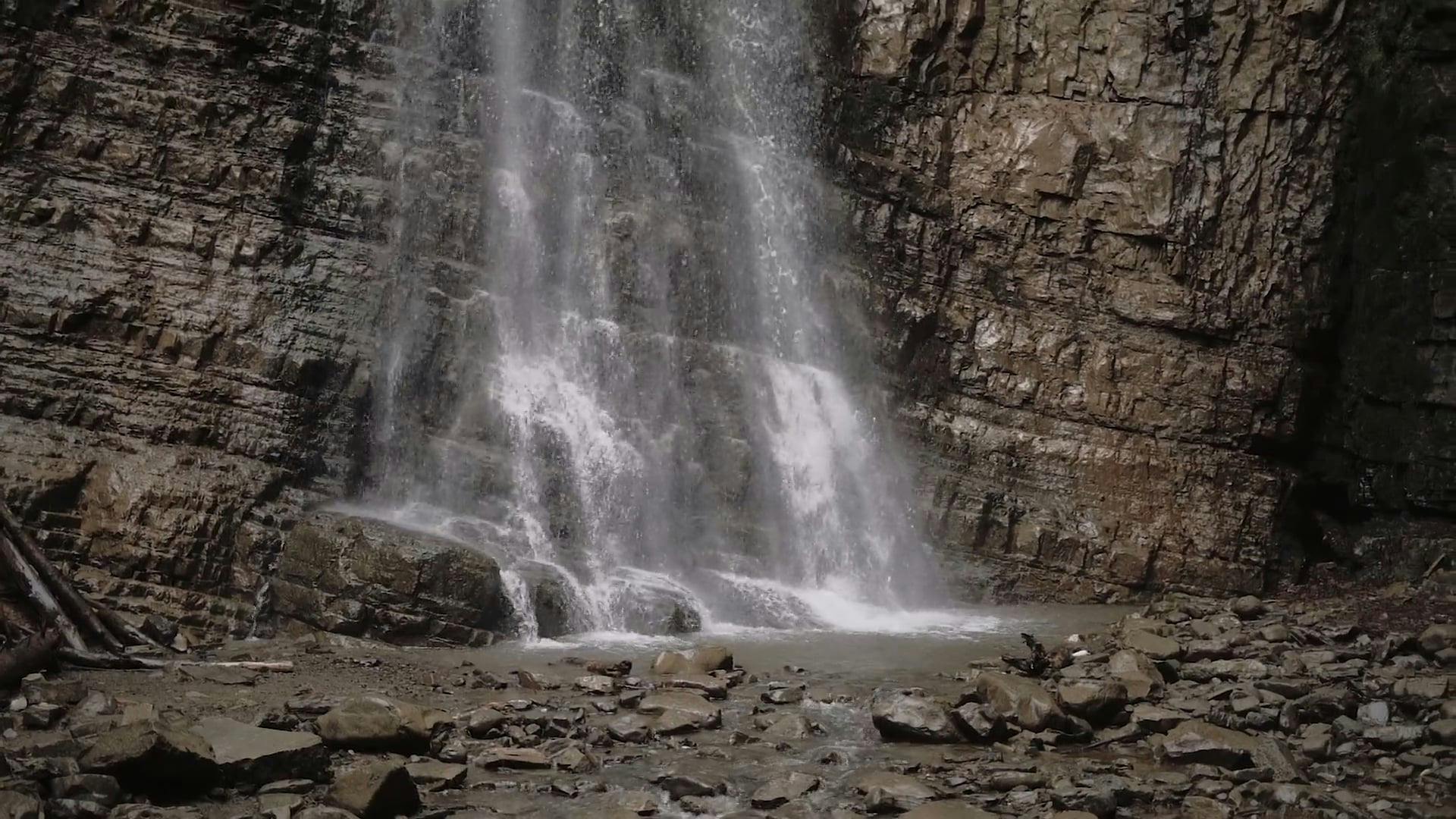 The Perfect Environment Videos, Download The BEST Free 4k Stock Video ...