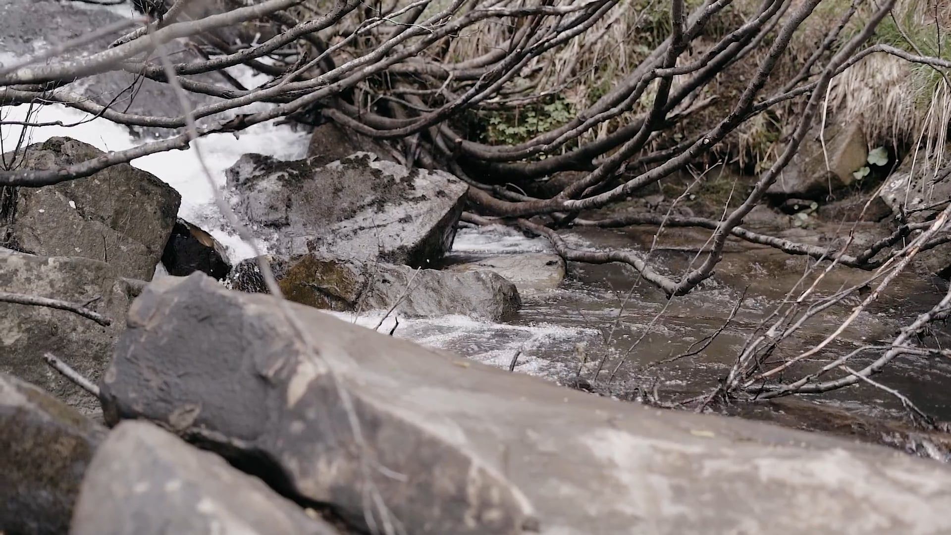 Close-Up View of a Stream Free Stock Video Footage, Royalty-Free 4K ...