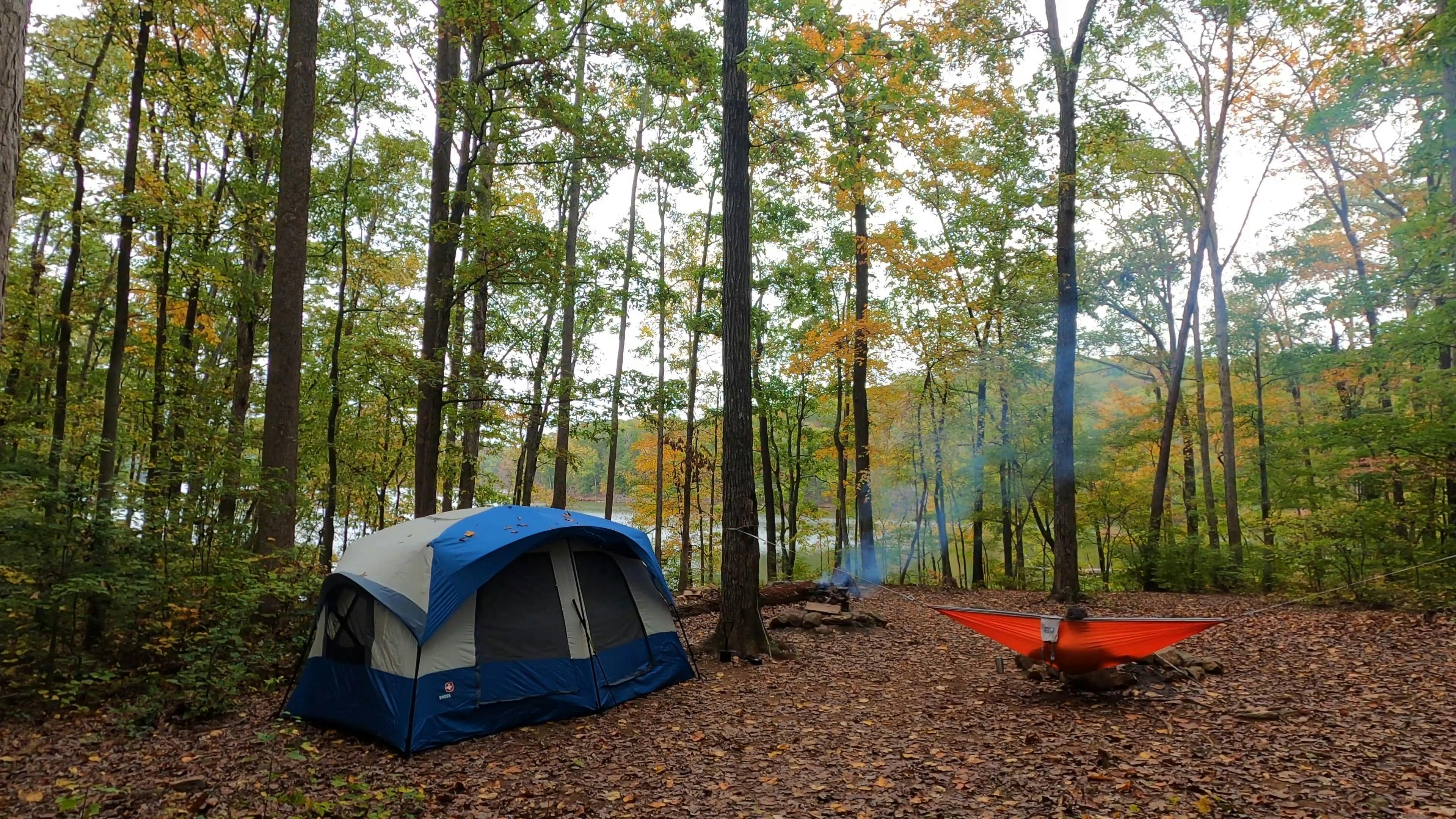 Person Camping in the Forest Free Stock Video Footage, Royalty-Free 4K ...