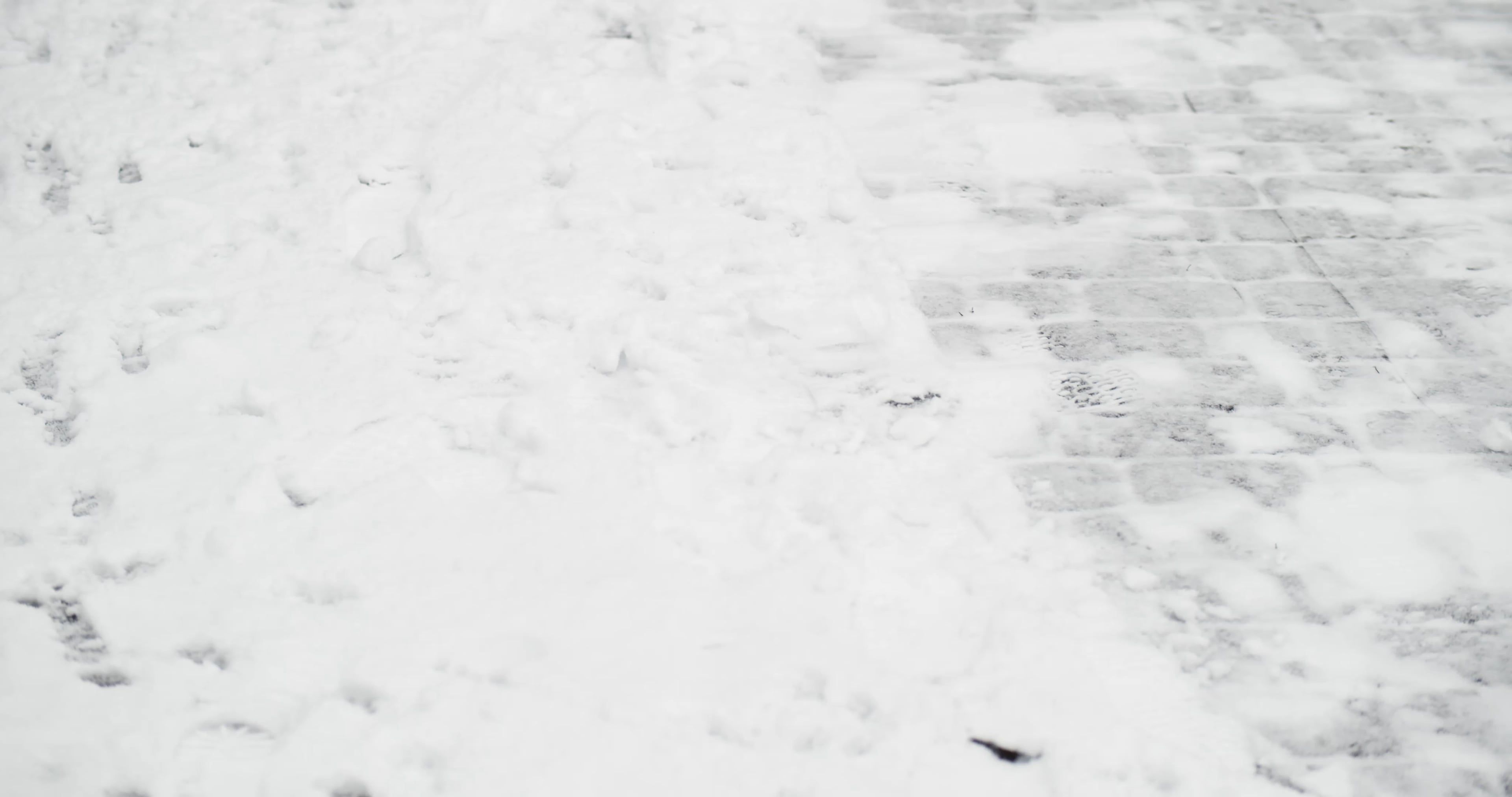 Close-Up View of a Person Clearing Snow from the Ground · Free Stock Video