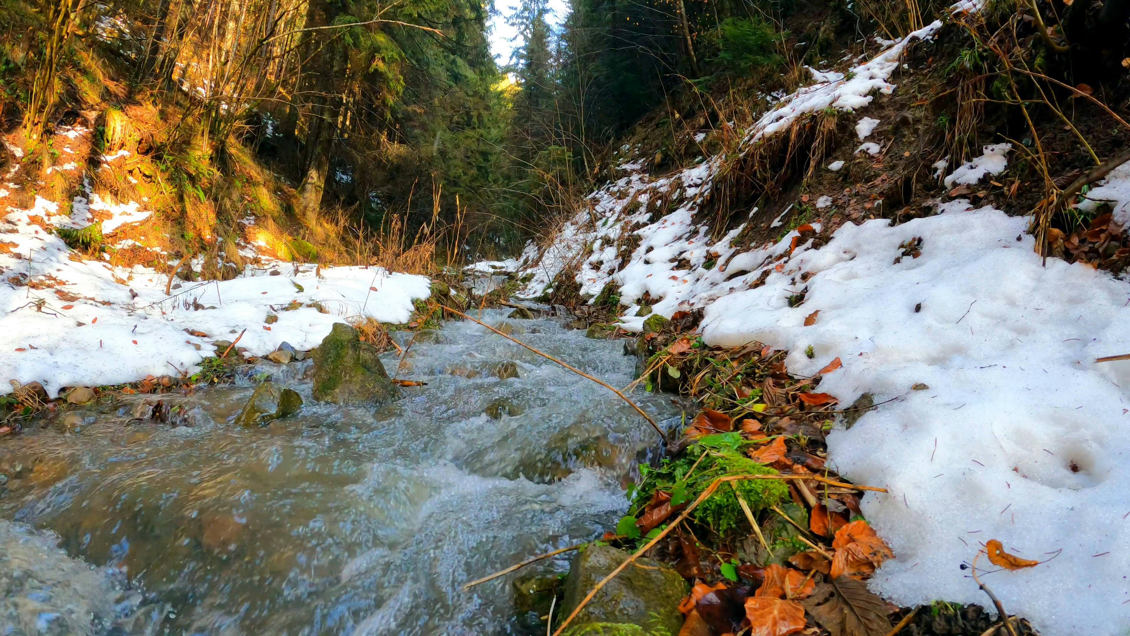 A Video Footage of a Running Stream Free Stock Video Footage, Royalty ...