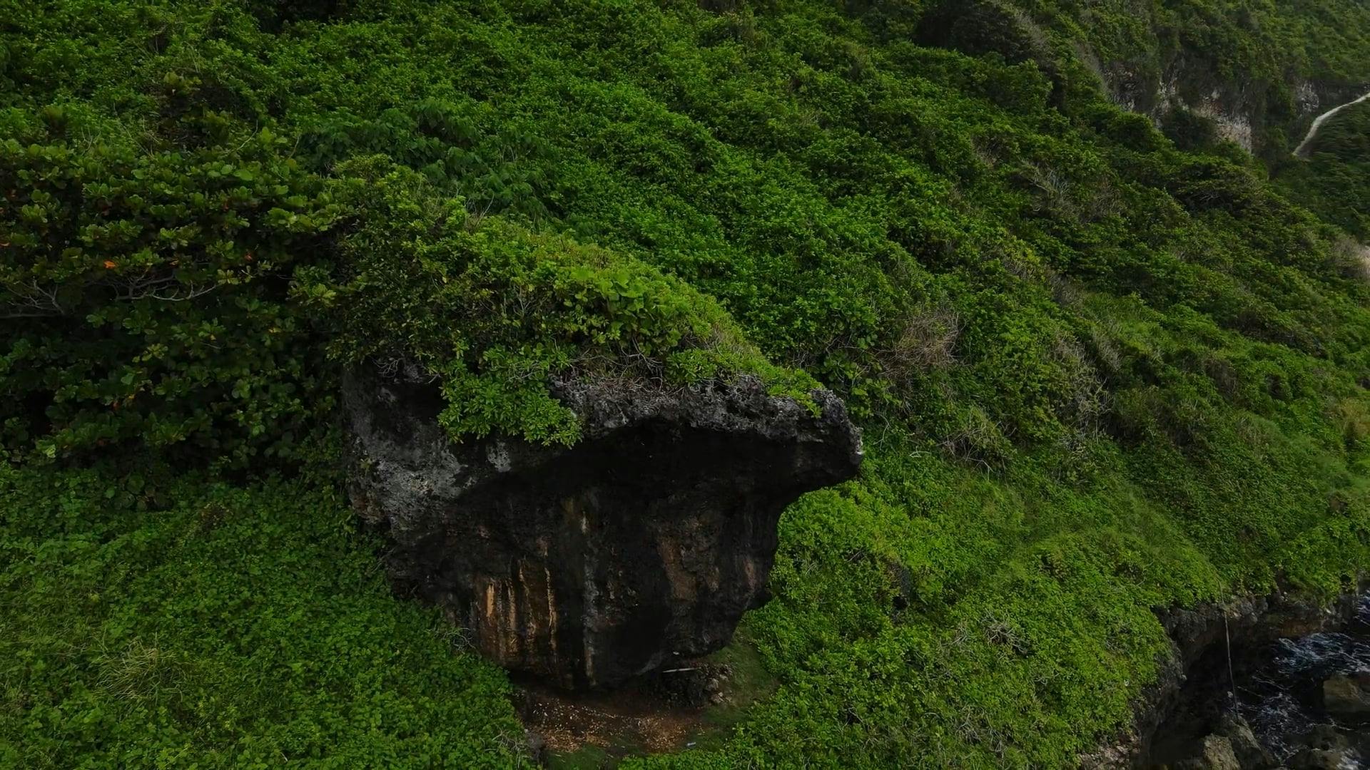 Drone Footage of a Beach · Free Stock Video
