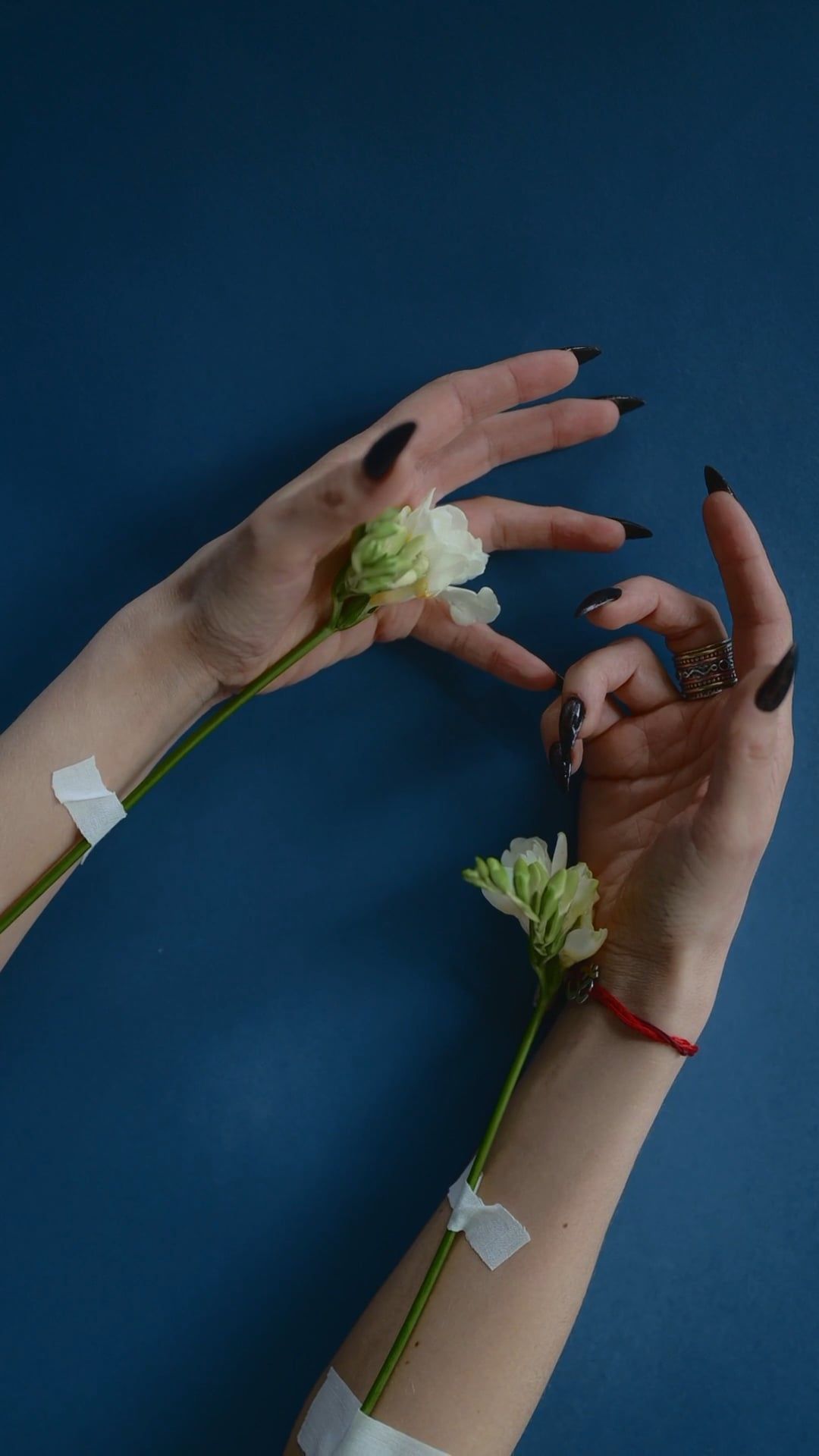 Person Grasping a Flower Free Stock Video Footage, Royalty-Free 4K & HD ...