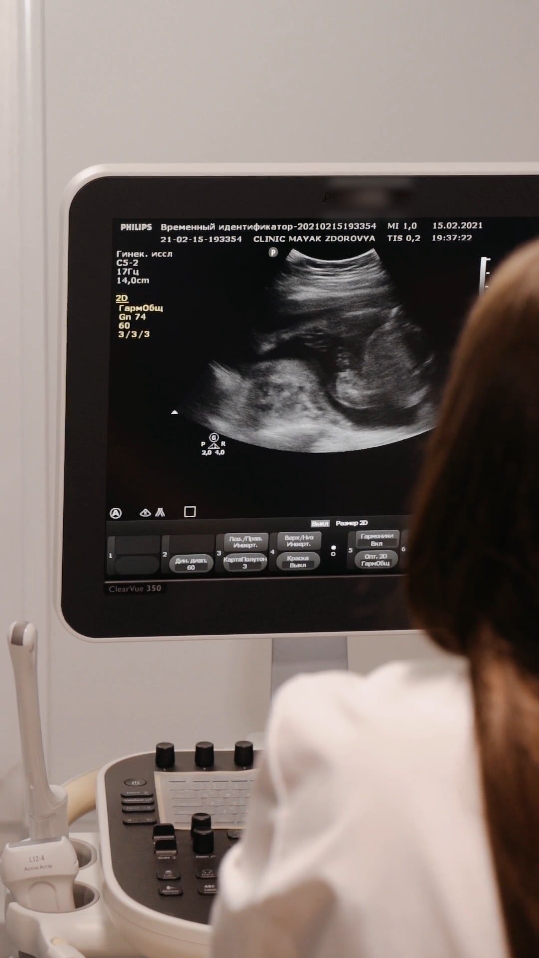 Gynecology Videos, Download The BEST Free 4k Stock Video Footage ...