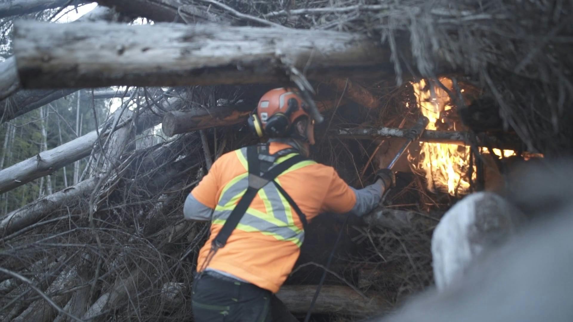 Burning Slash Piles Free Stock Video Footage, Royalty-Free 4K & HD ...