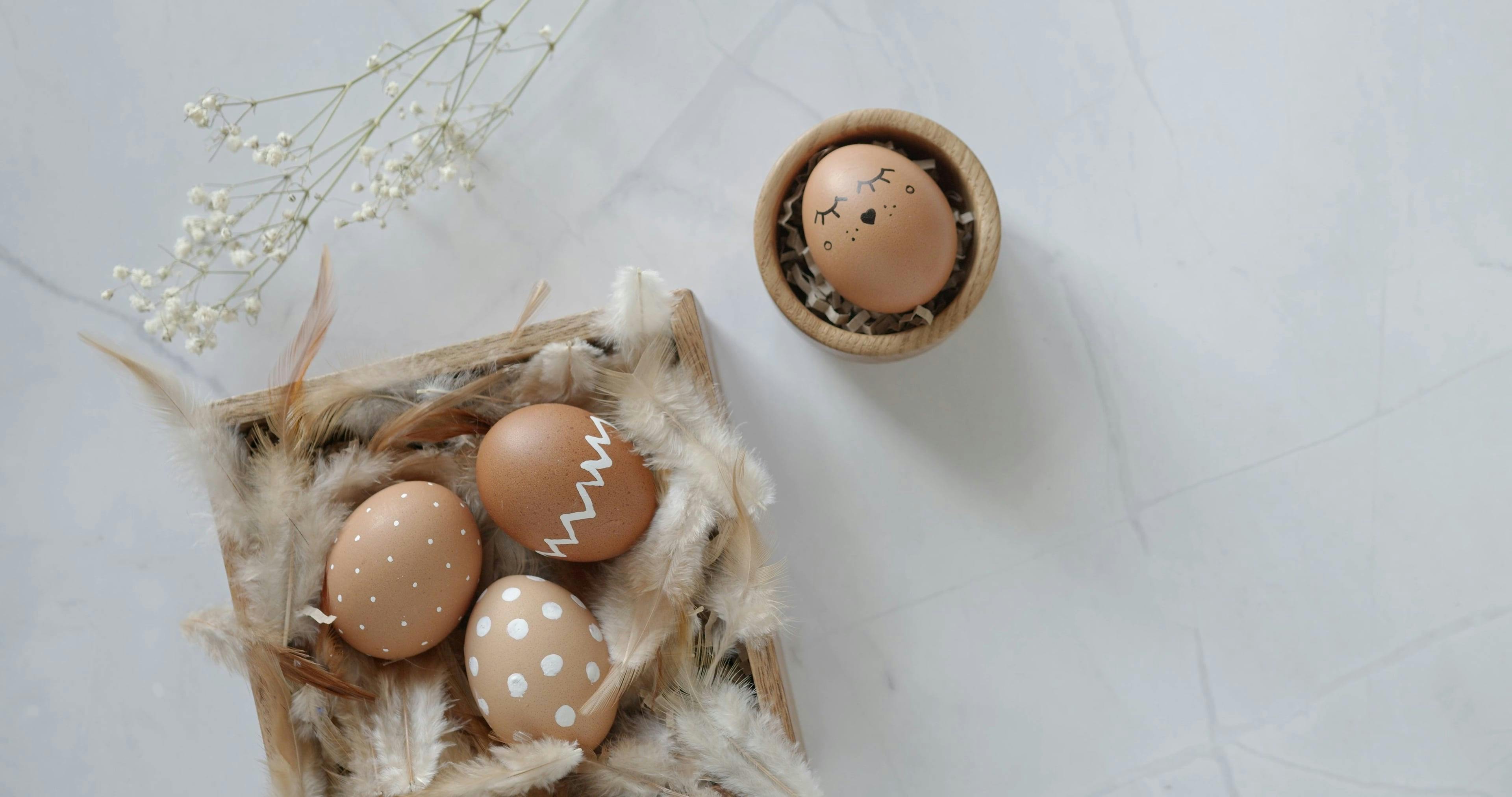 Cute Plain Videos, Download The BEST Free 4k Stock Video Footage & Cute ...