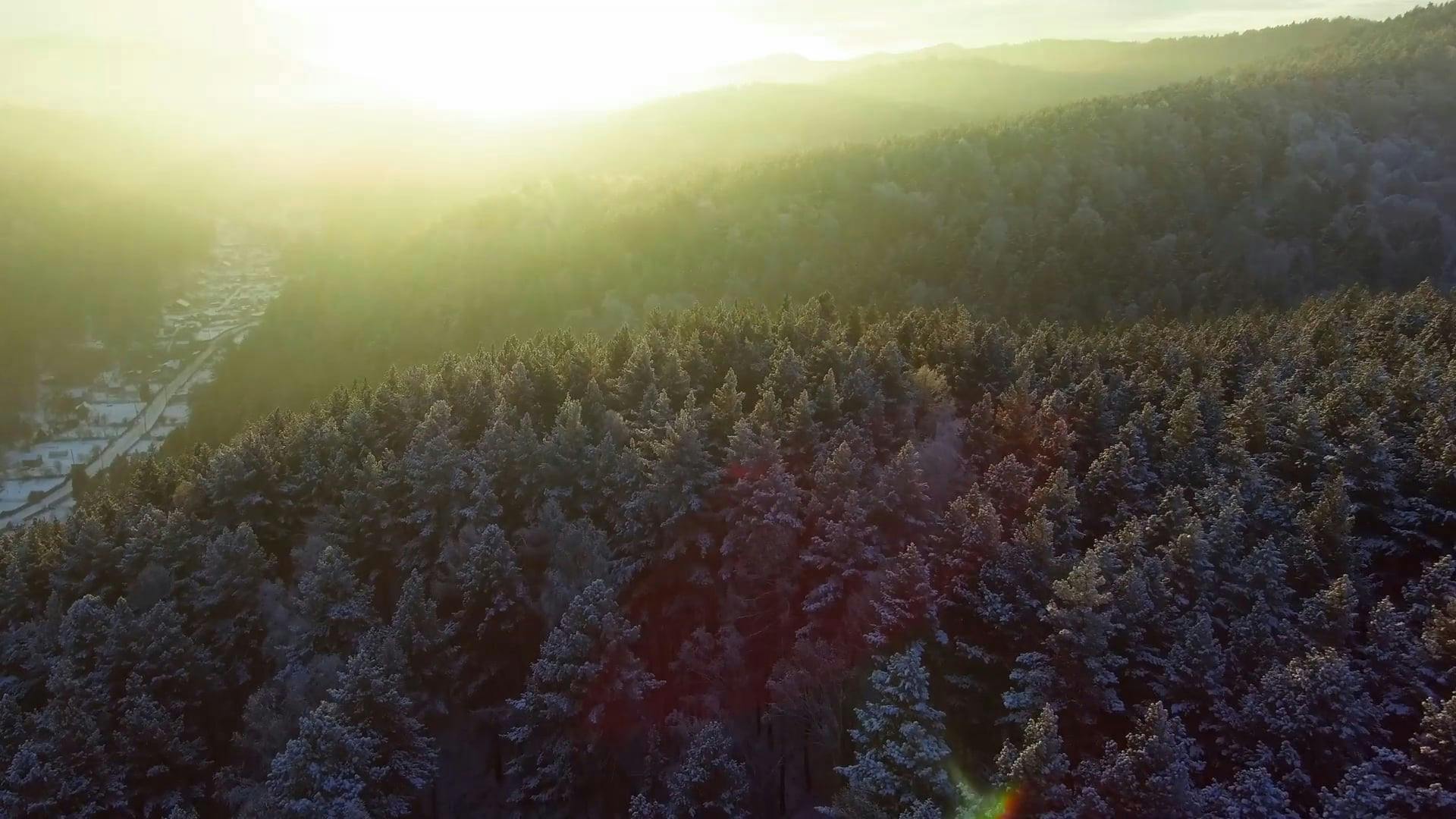 A Bridge Across The Forest River Covered In Snow Free Stock Video ...
