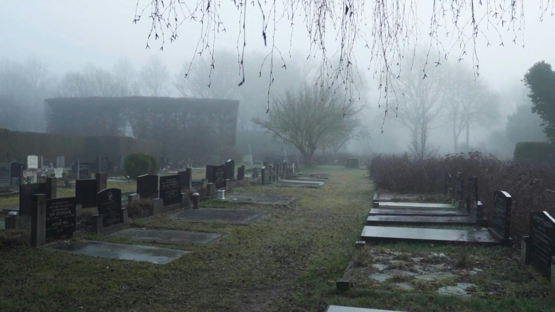 Foggy Day at the Cemetery Free Stock Video Footage, Royalty-Free 4K ...