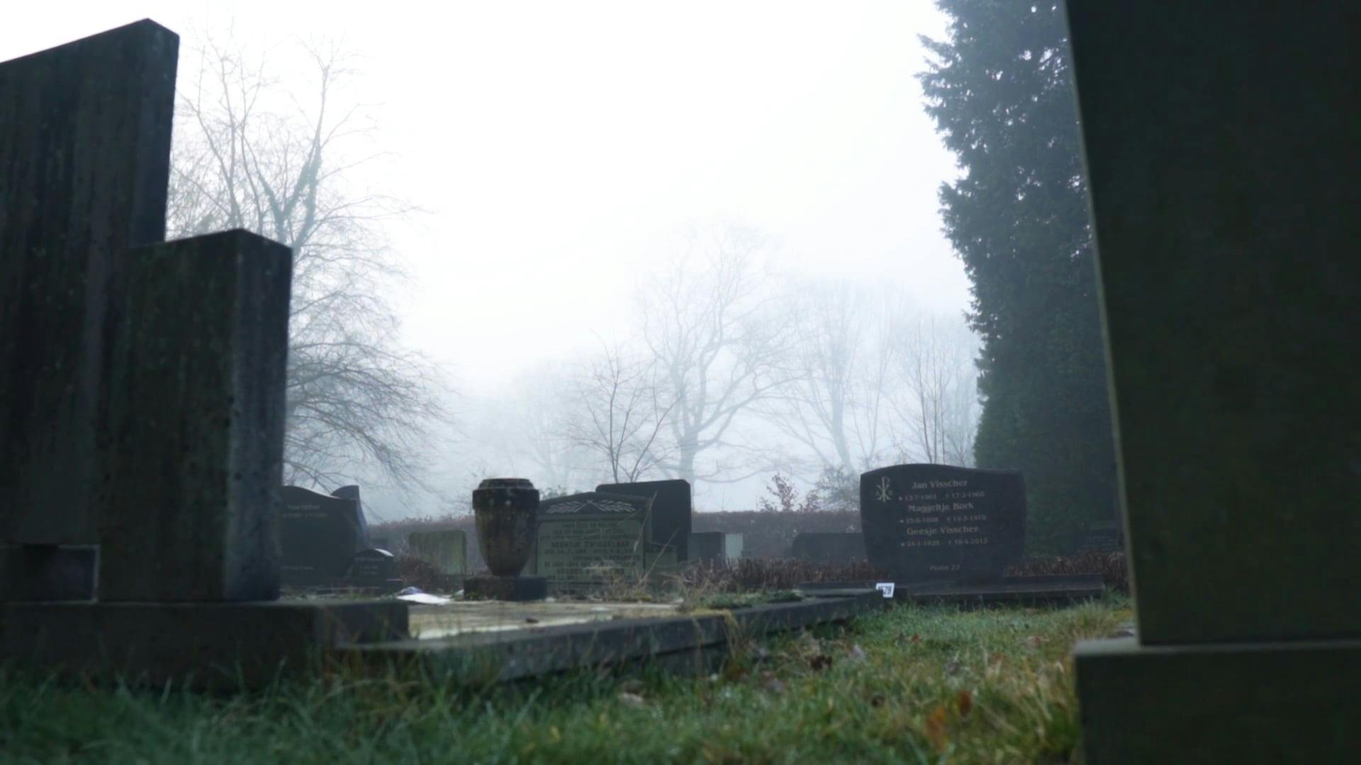Foggy Day at the Cemetery Free Stock Video Footage, Royalty-Free 4K ...