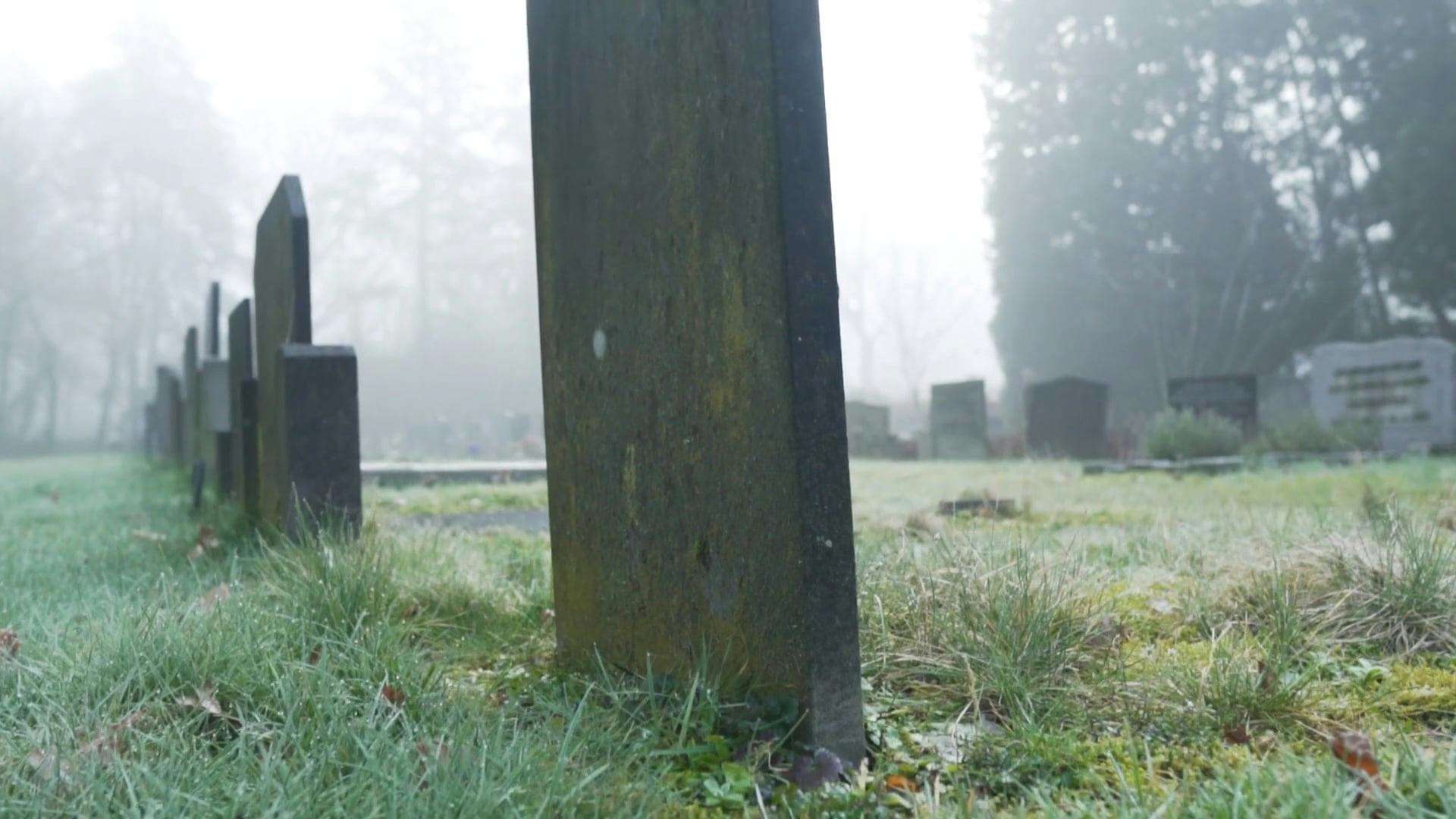 Foggy Day at the Cemetery Free Stock Video Footage, Royalty-Free 4K ...