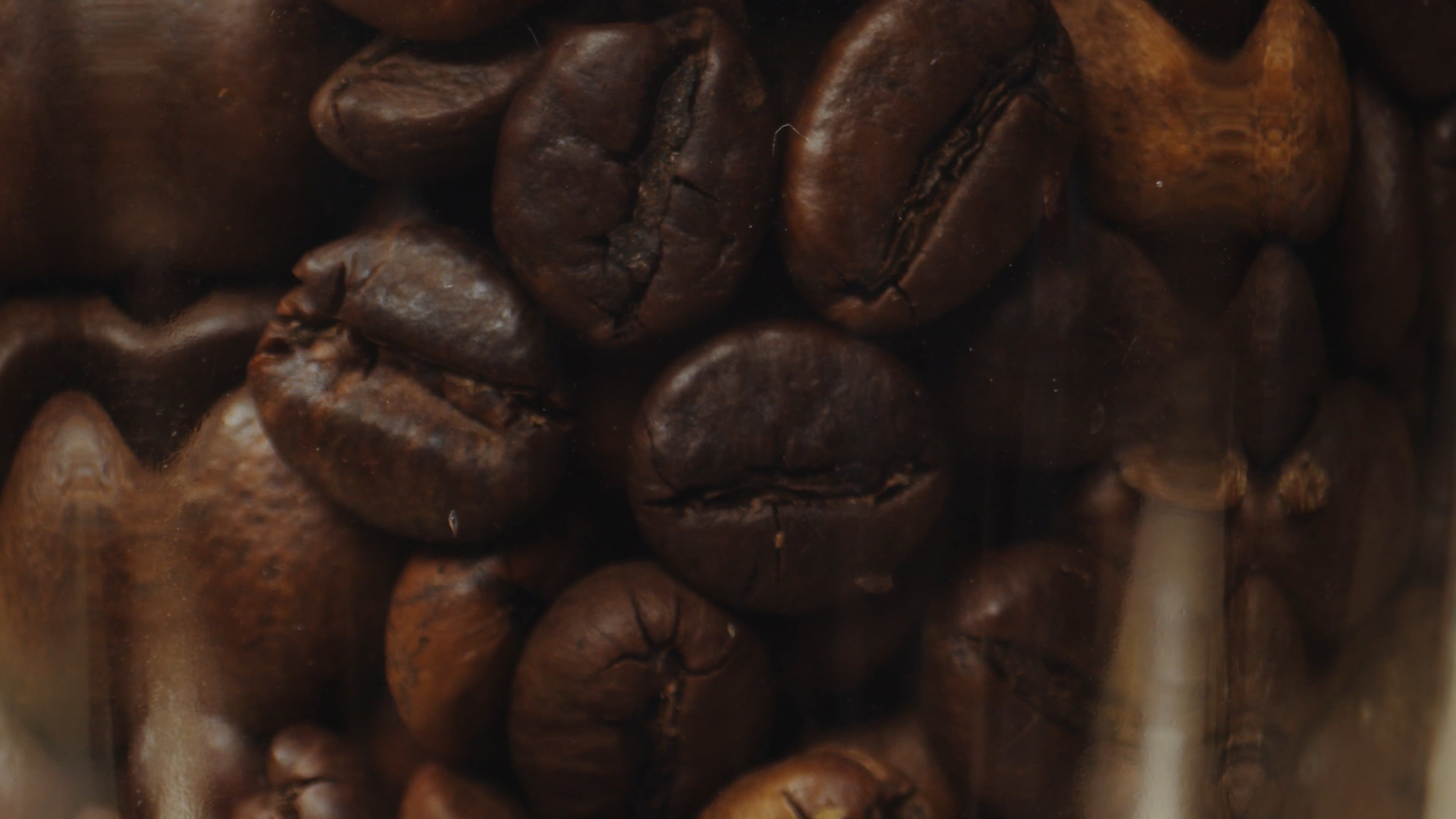 Brazilian Coffee Videos, Download The BEST Free 4k Stock Video Footage ...