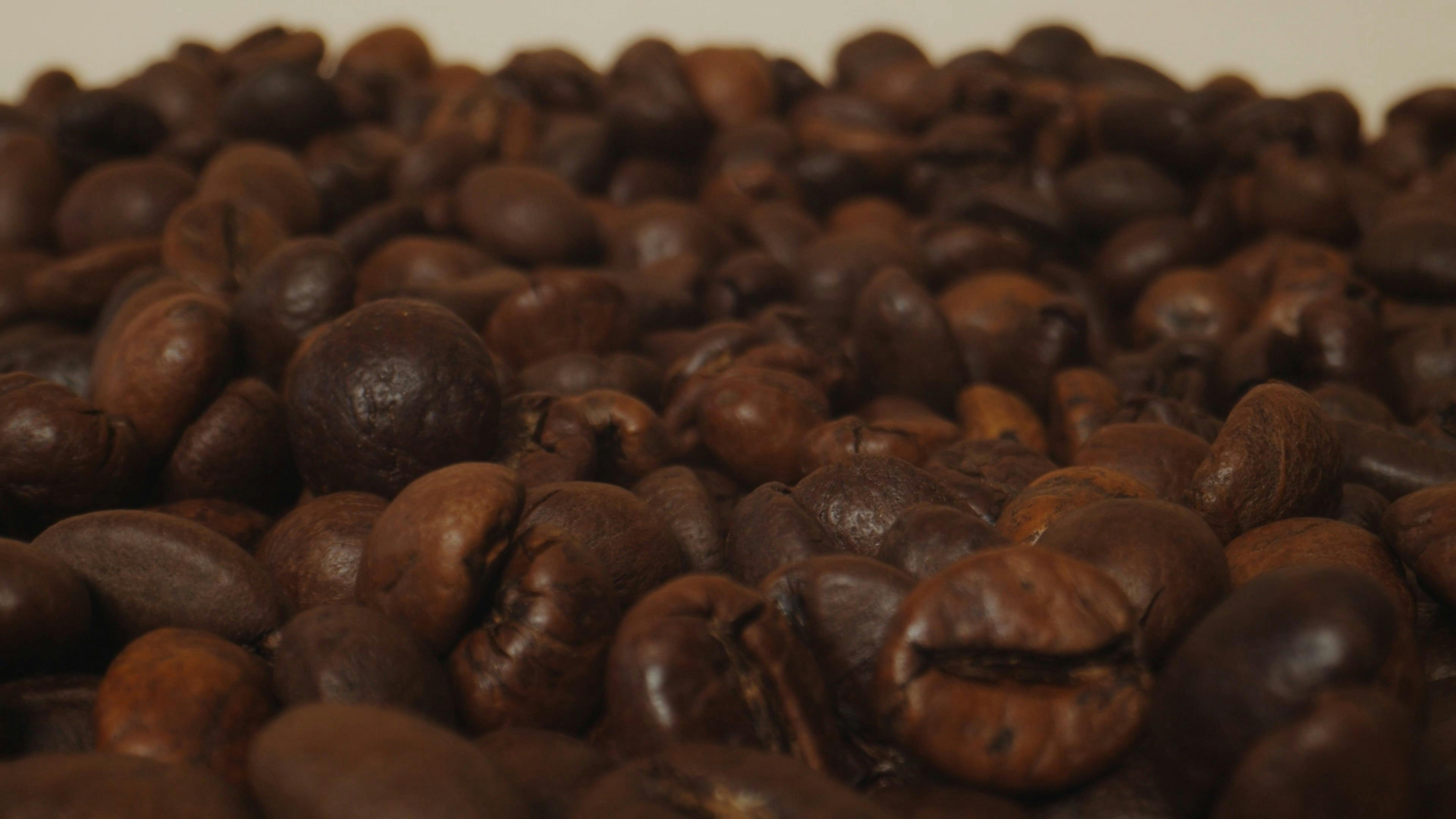 Coffee Beans 4k Videos, Download The BEST Free 4k Stock Video Footage ...