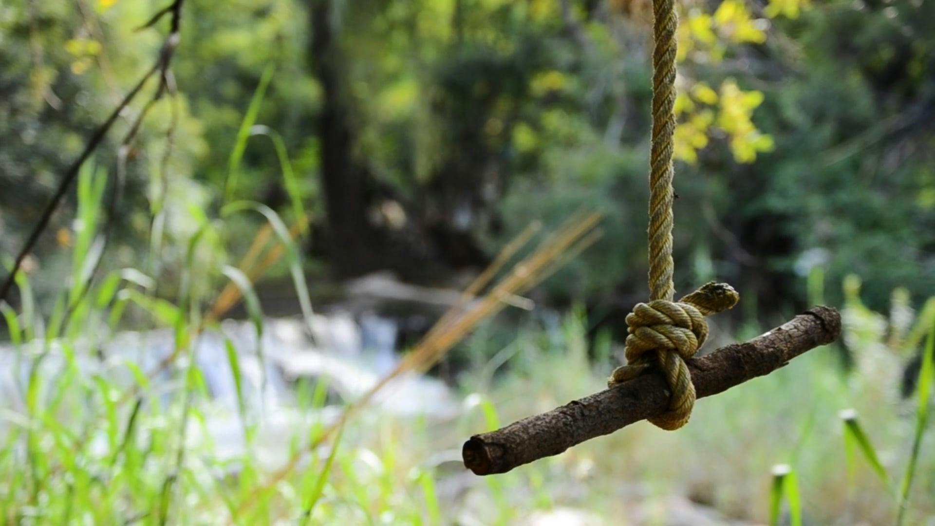 Close-Up Video of a Wooden Swing on a Rope Free Stock Video Footage ...