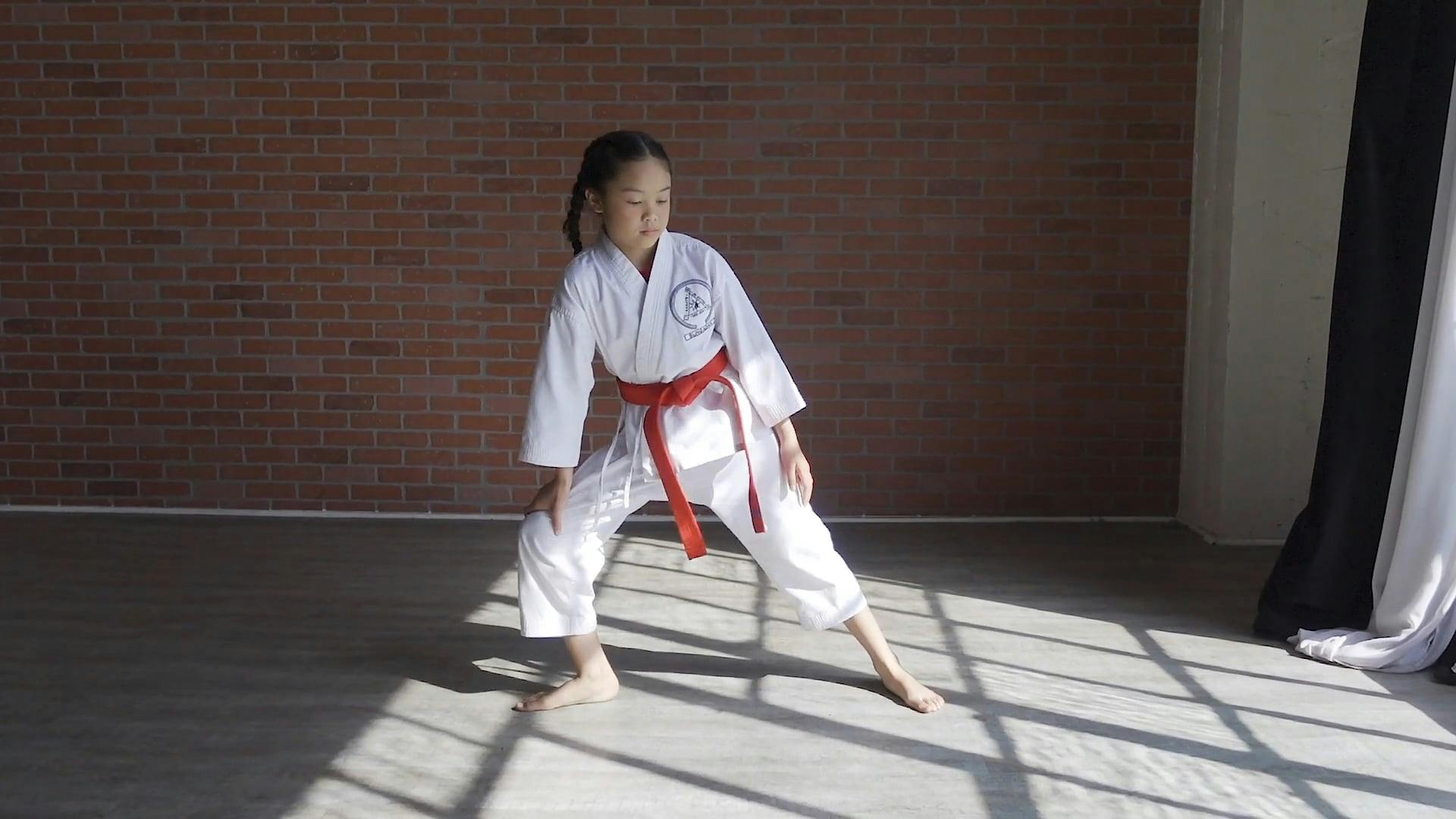 Karate Red Belt Videos, Download The BEST Free 4k Stock Video Footage ...