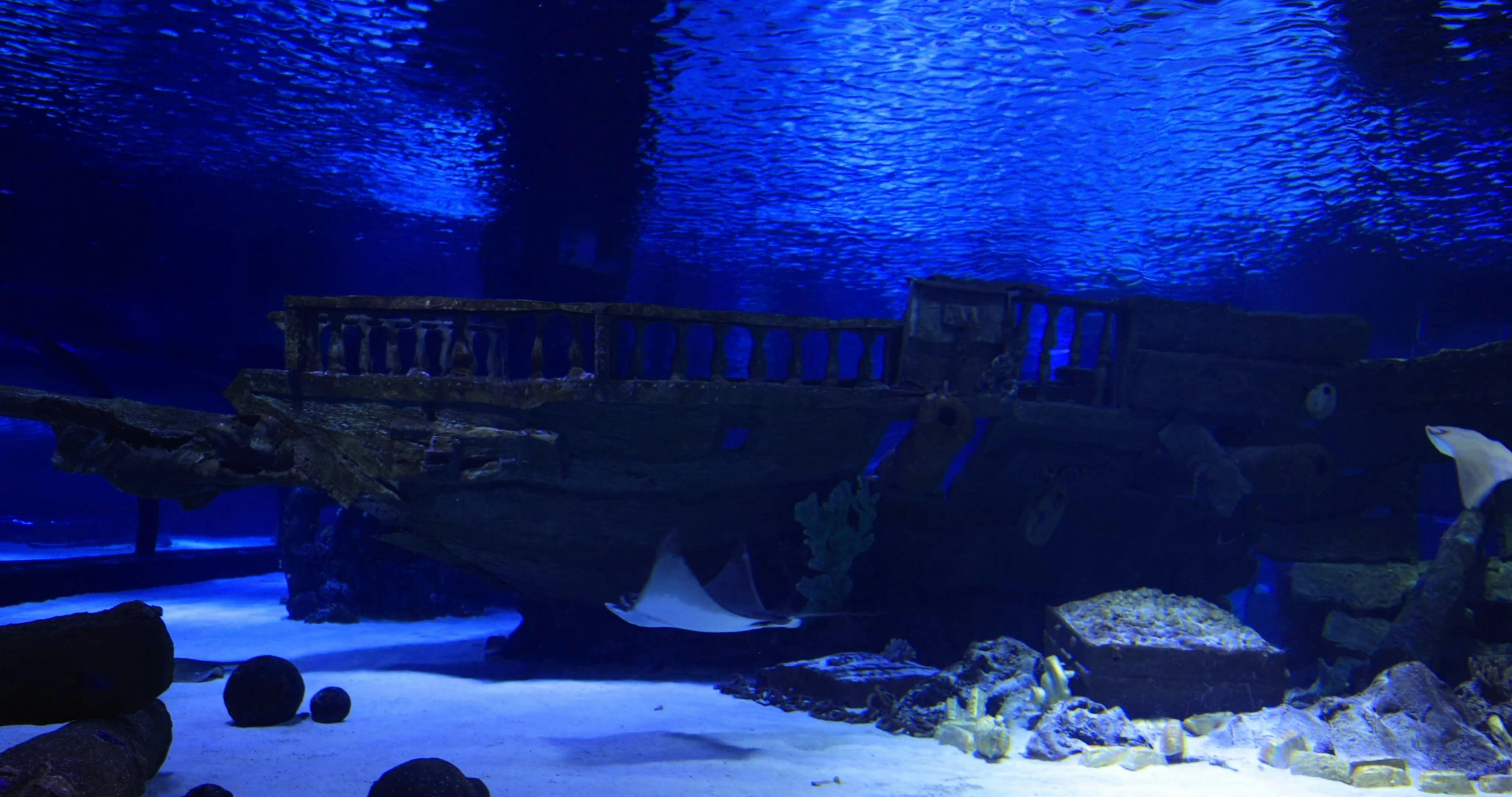 Sea Boot Videos, Download The BEST Free 4k Stock Video Footage & Sea ...