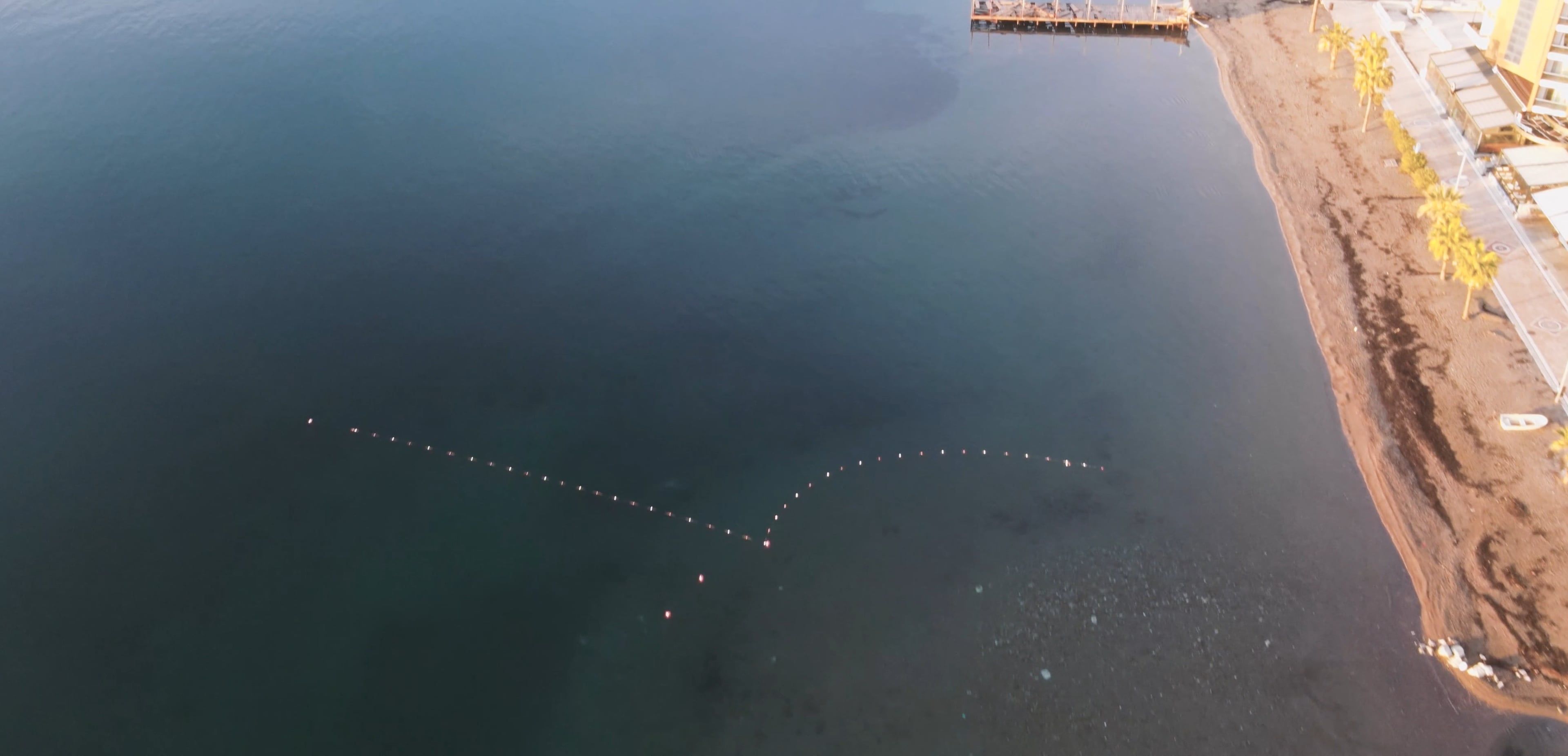 Aerial Footage of a Beach · Free Stock Video