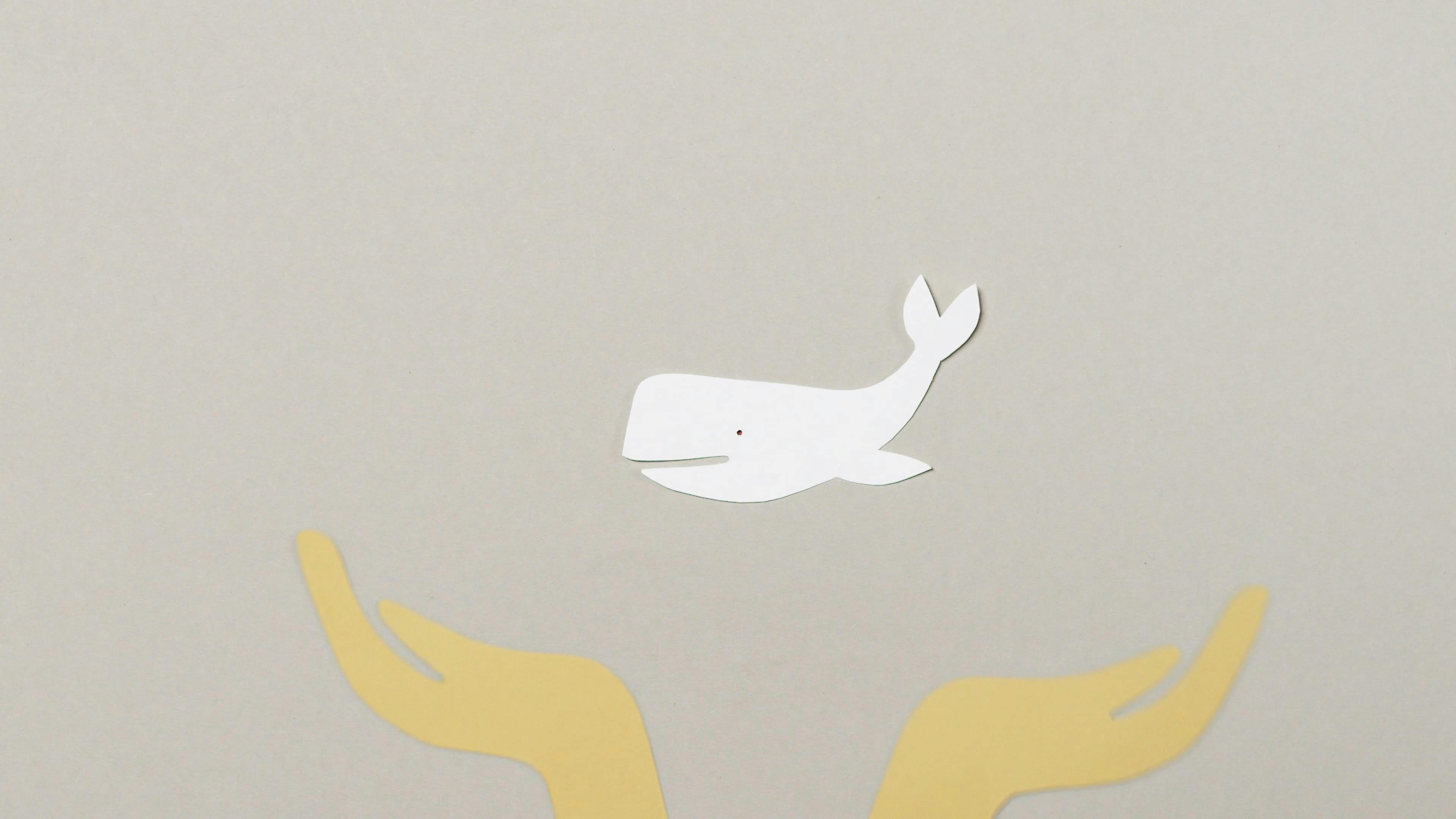 Animals Animation Videos, Download The BEST Free 4k Stock Video Footage ...