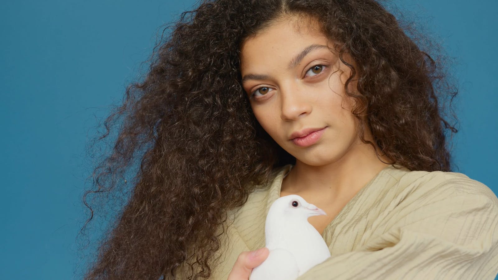 Videos Of Beautiful Birds And Animals Videos, Download The BEST Free 4k ...