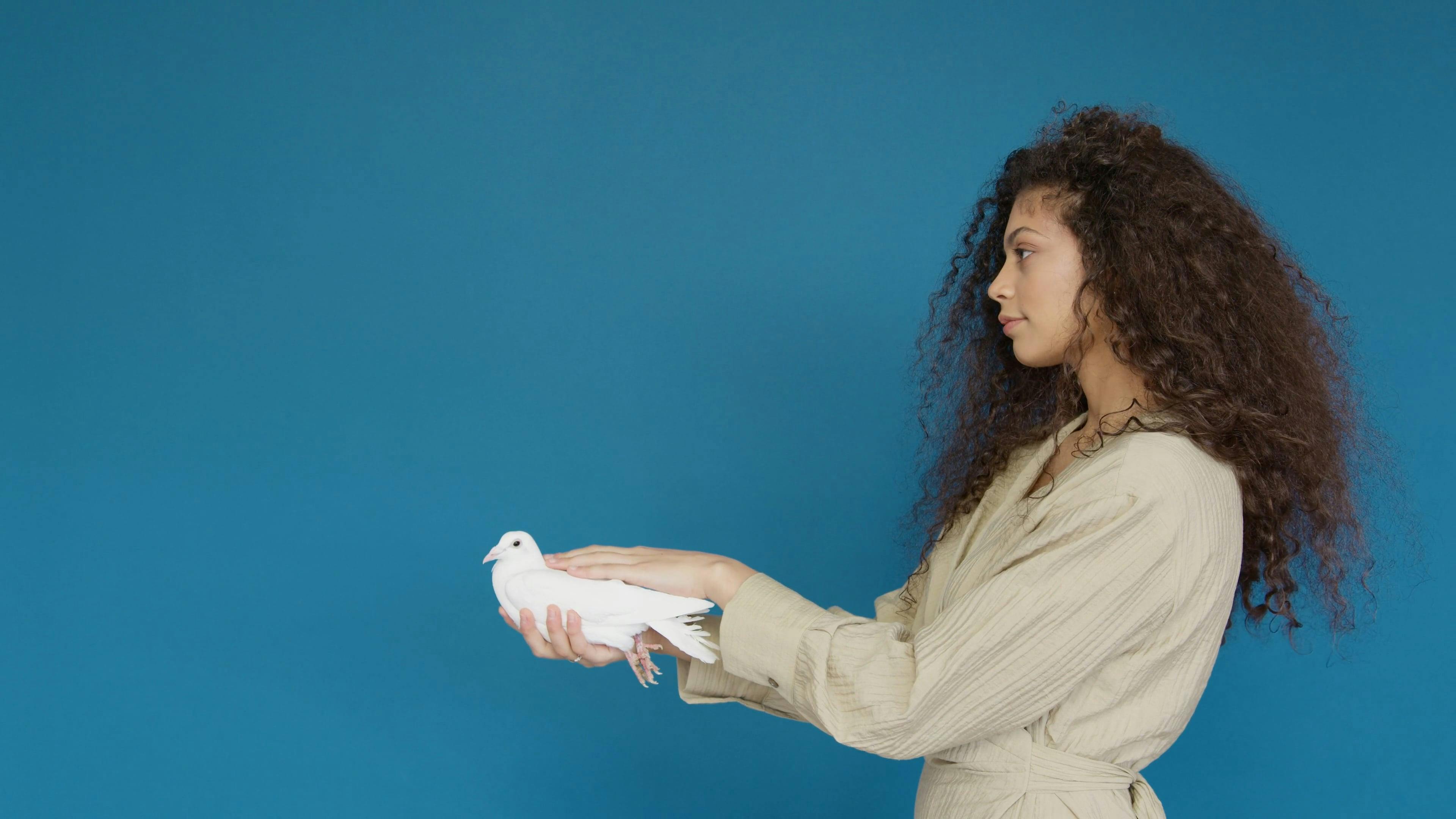 4k Profile Picture Animated Videos, Download The BEST Free 4k Stock ...