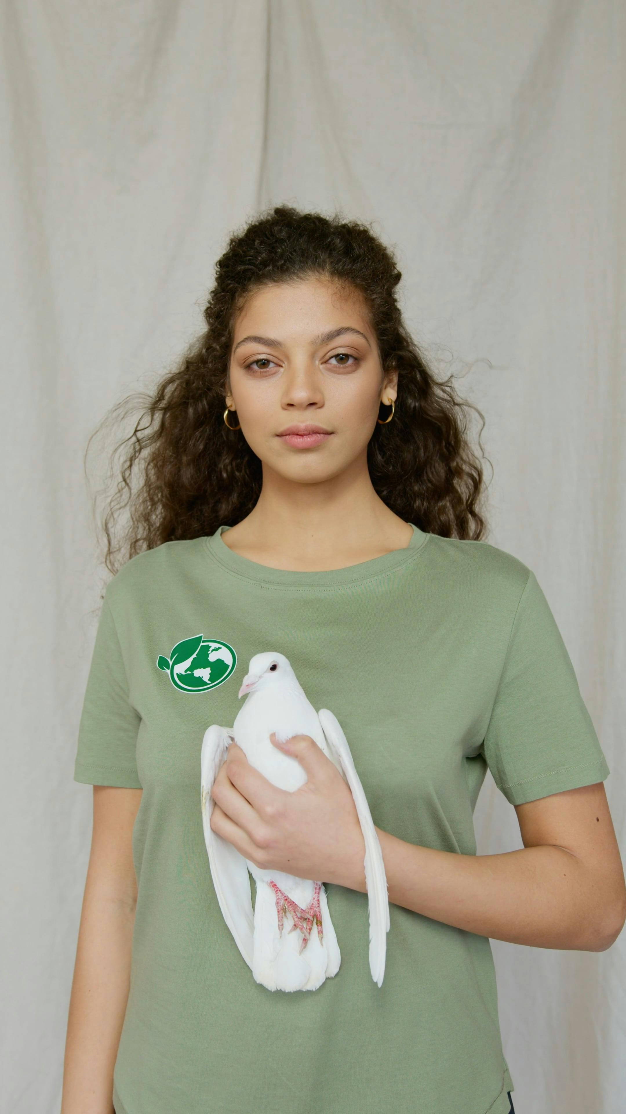 Grace Wing Videos, Download The BEST Free 4k Stock Video Footage ...