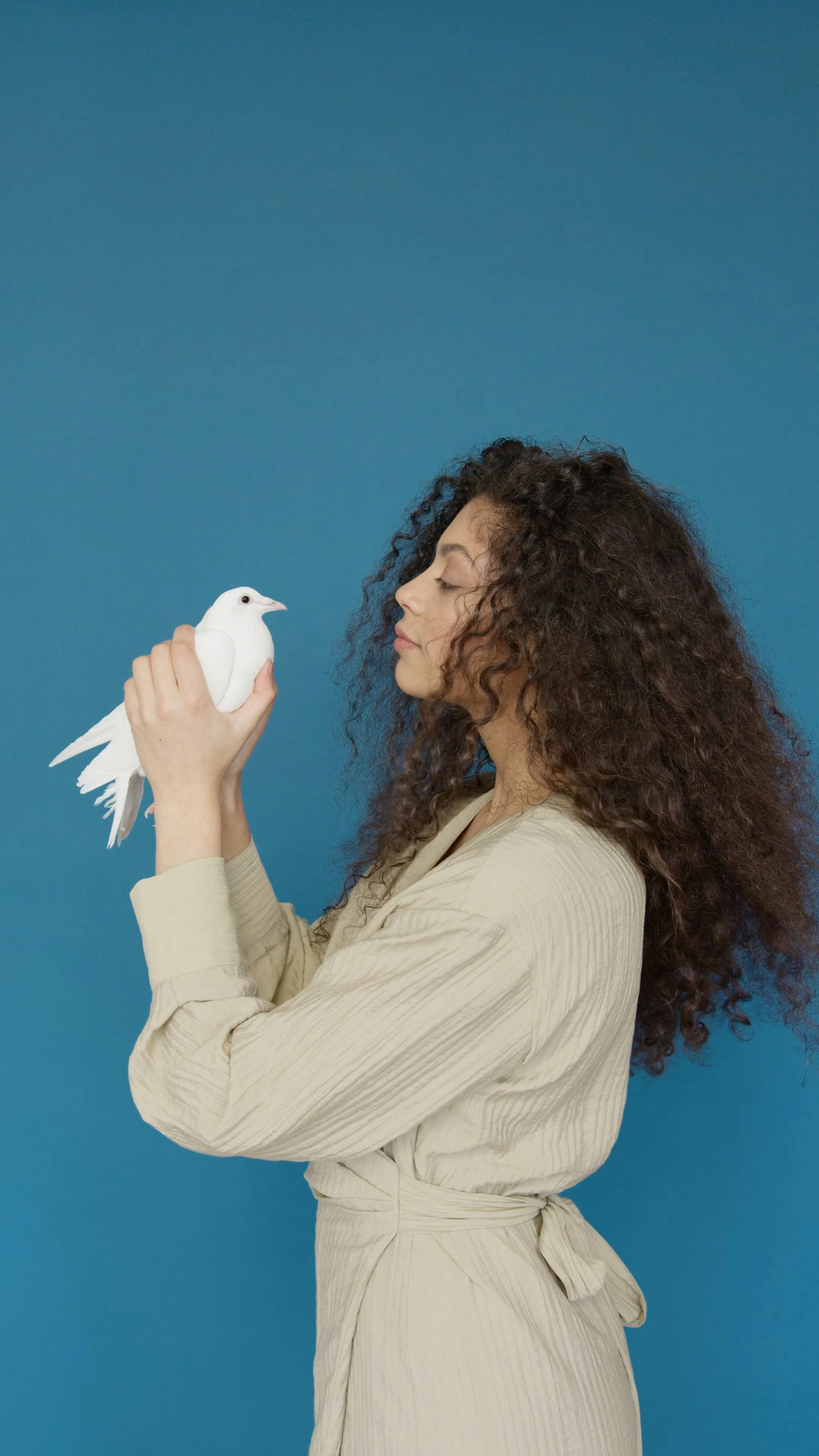 Person Holding a Dove · Free Stock Video