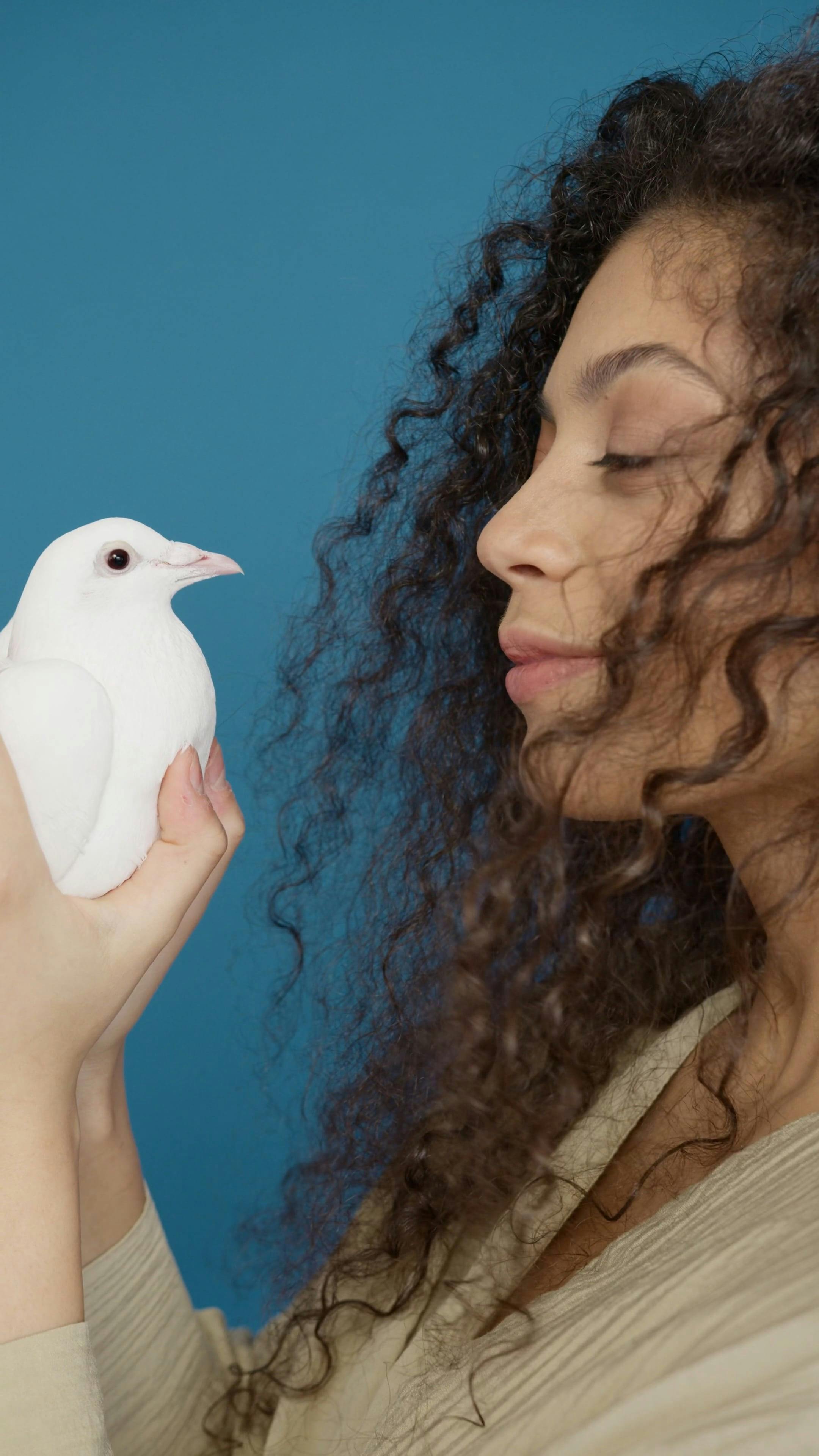 Side Profile of a Woman and a Dove · Free Stock Video