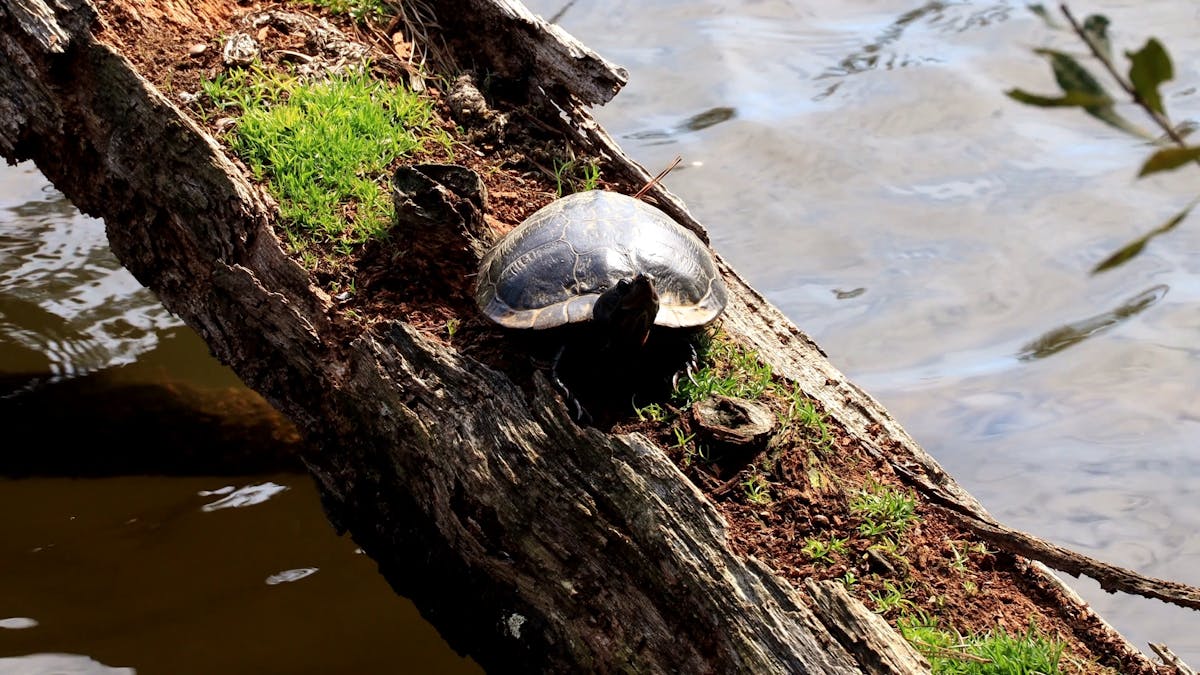 S Log Videos, Download The BEST Free 4k Stock Video Footage & S Log HD ...