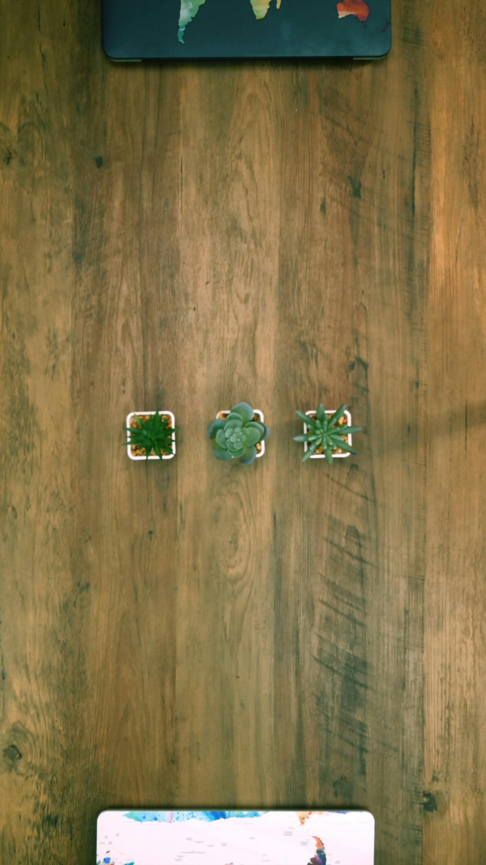 Short Clips Videos, Download The BEST Free 4k Stock Video Footage ...