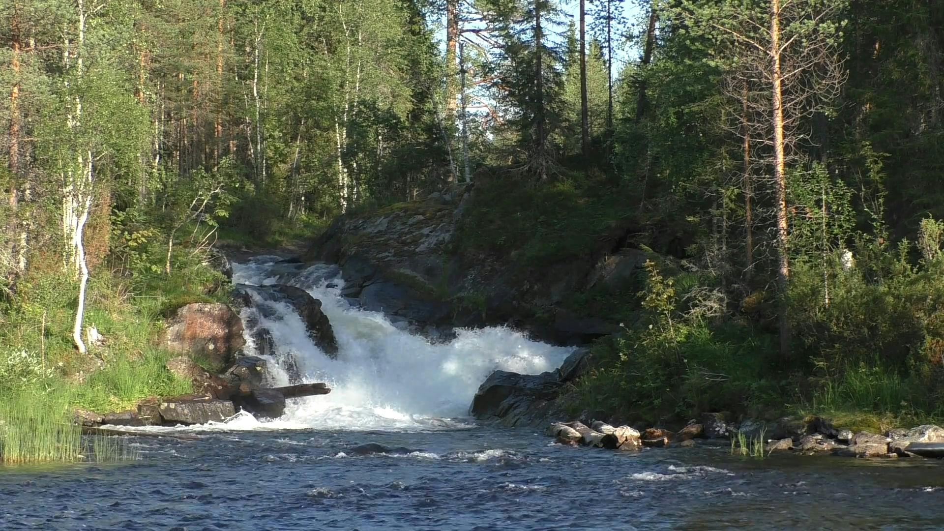 River Water Flowing Down In A Narrow Creek Free Stock Video Footage ...