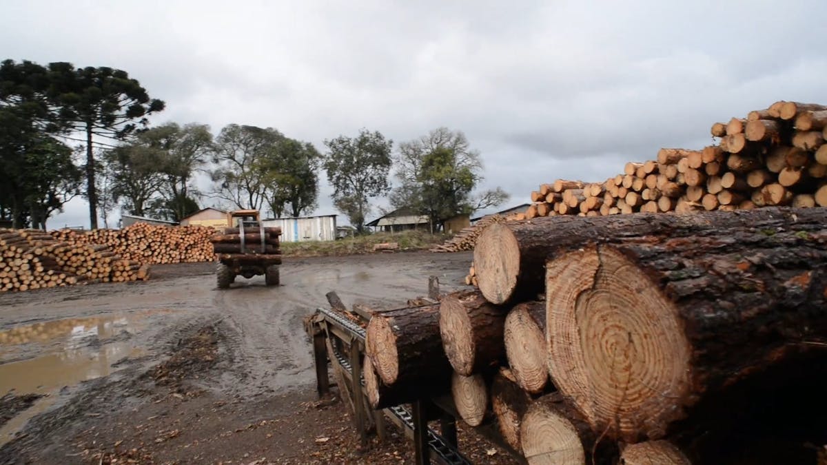 Logging In Amazon Videos, Download The BEST Free 4k Stock Video Footage ...