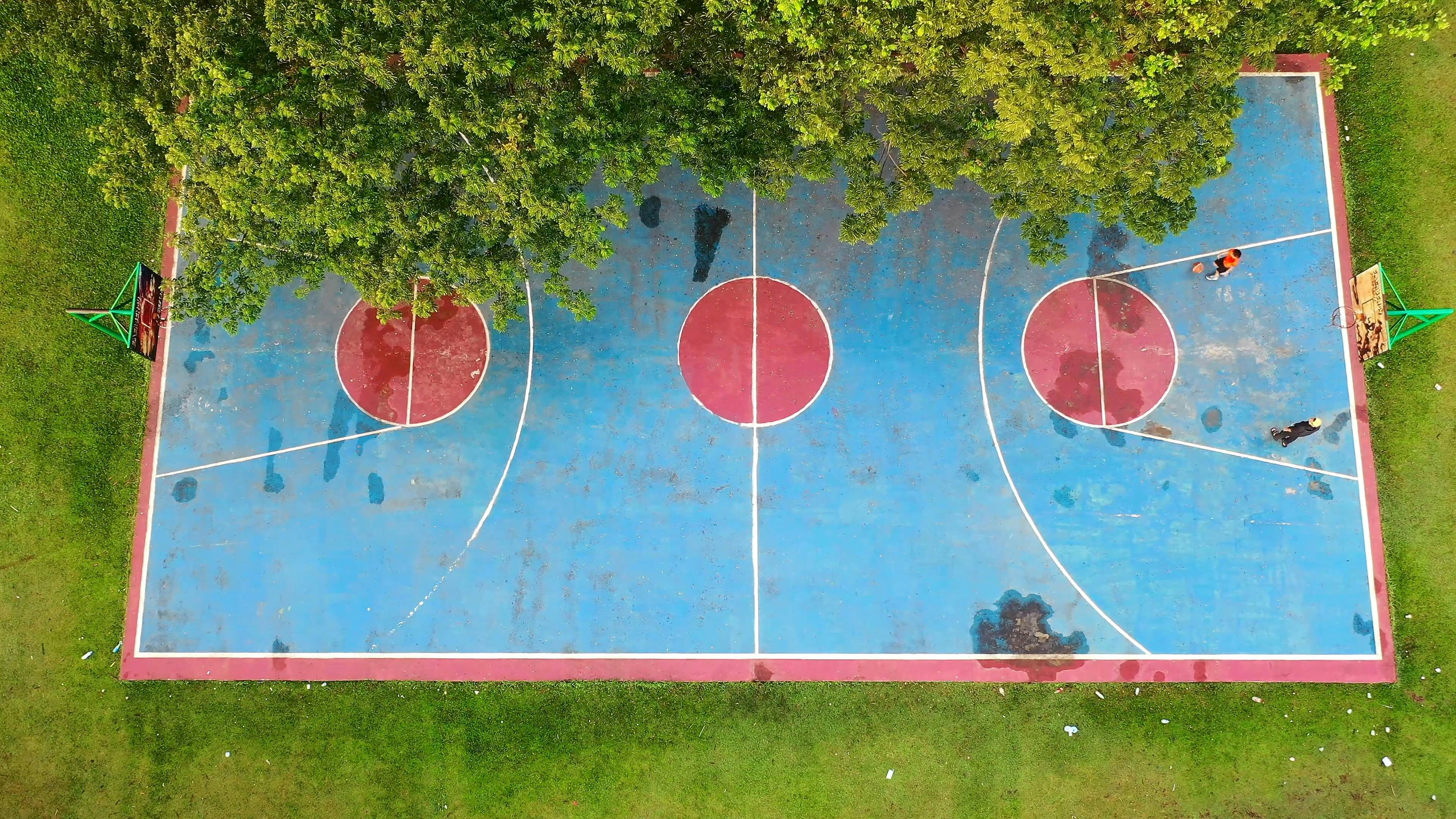 Ball Bird Videos, Download The BEST Free 4k Stock Video Footage & Ball ...